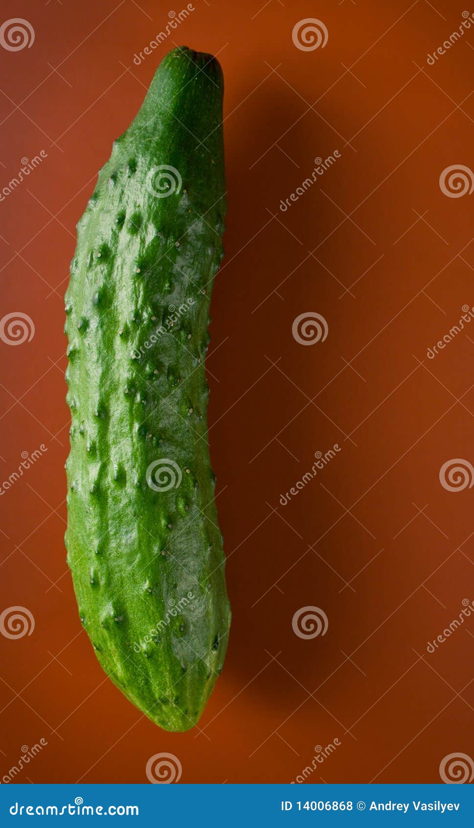 Cucumber stock photo. Image of cucumber, healthy, bumps - 14006868
