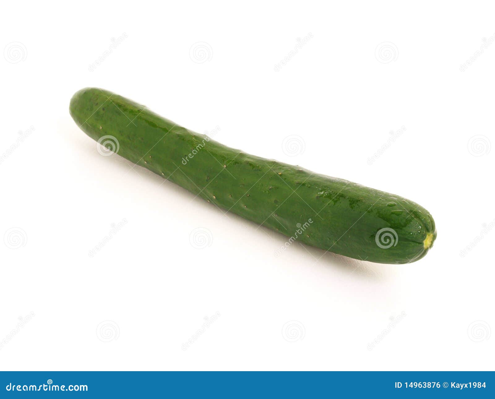 Cucumber stock photo. Image of natural, nature, long - 14963876
