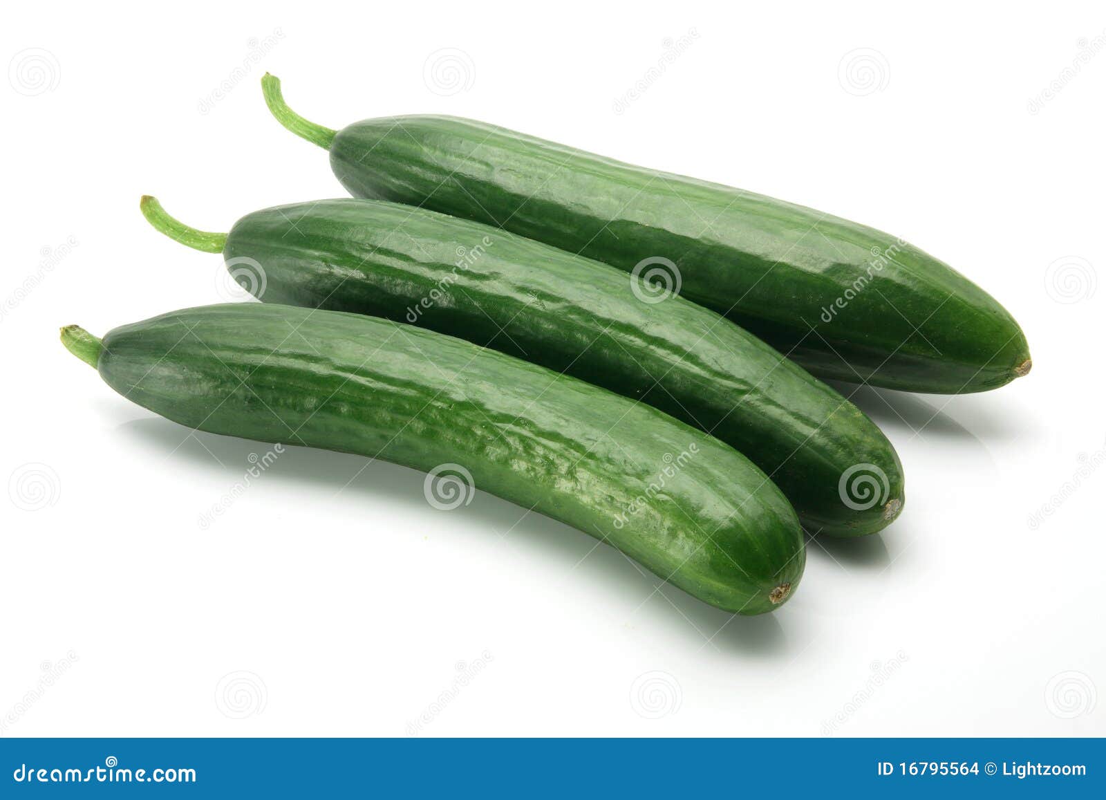 Cucumber stock photo. Image of produce, ingredient, cucumber - 16795564