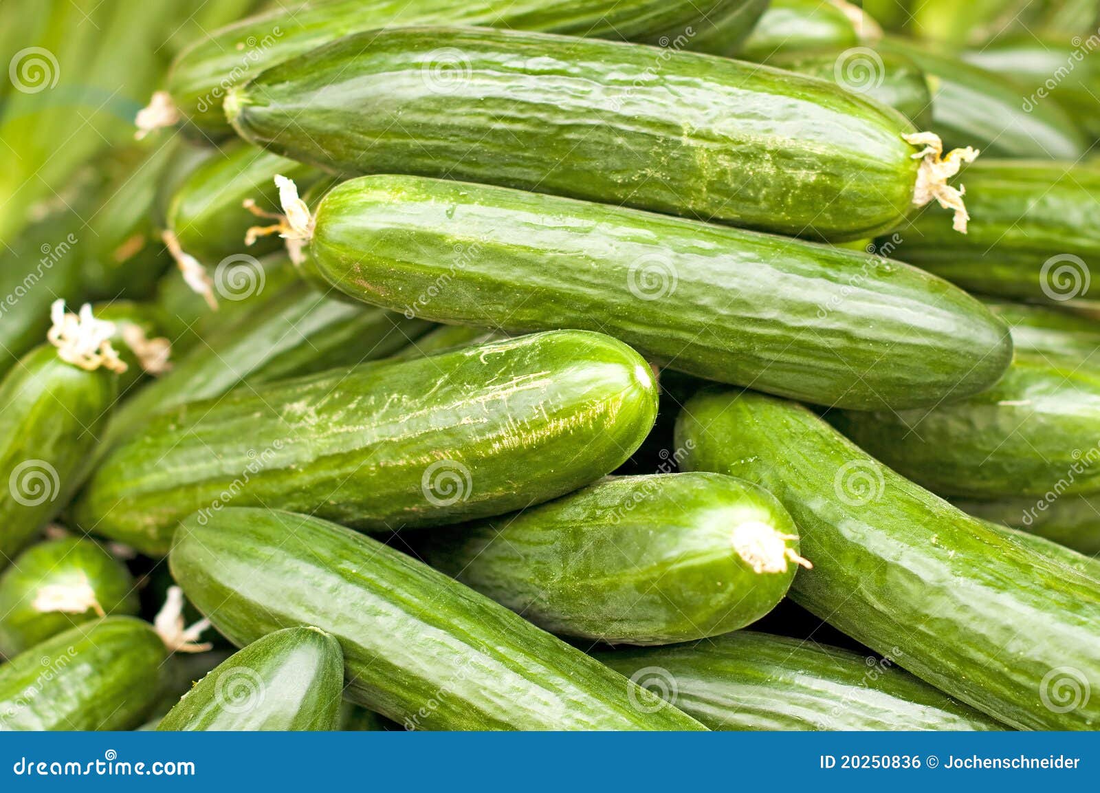 Cucumber stock photo. Image of fresh, mediterranean, salad - 20250836