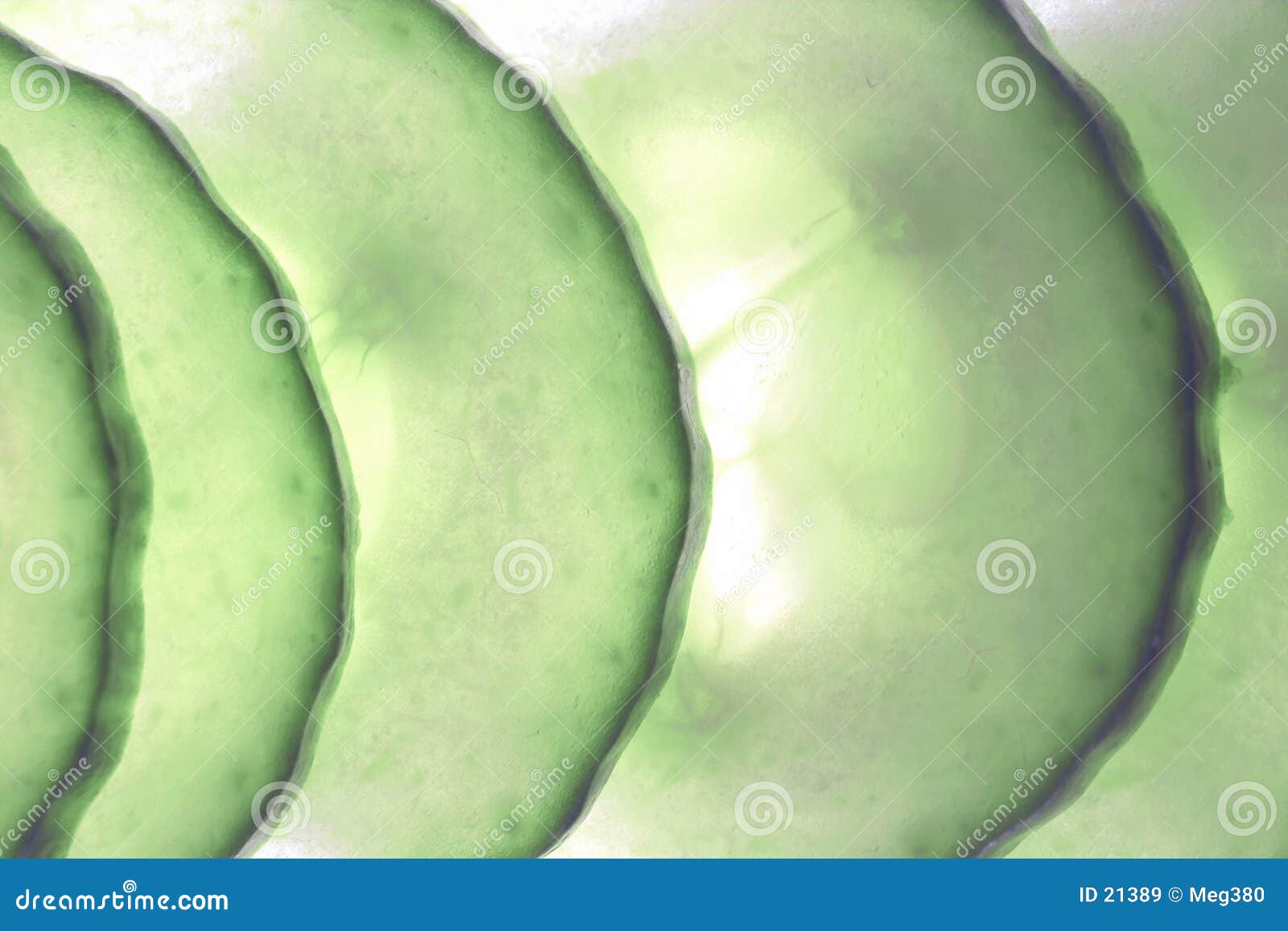 Cucumber stock image. Image of growth, pieces, food, edible - 21389