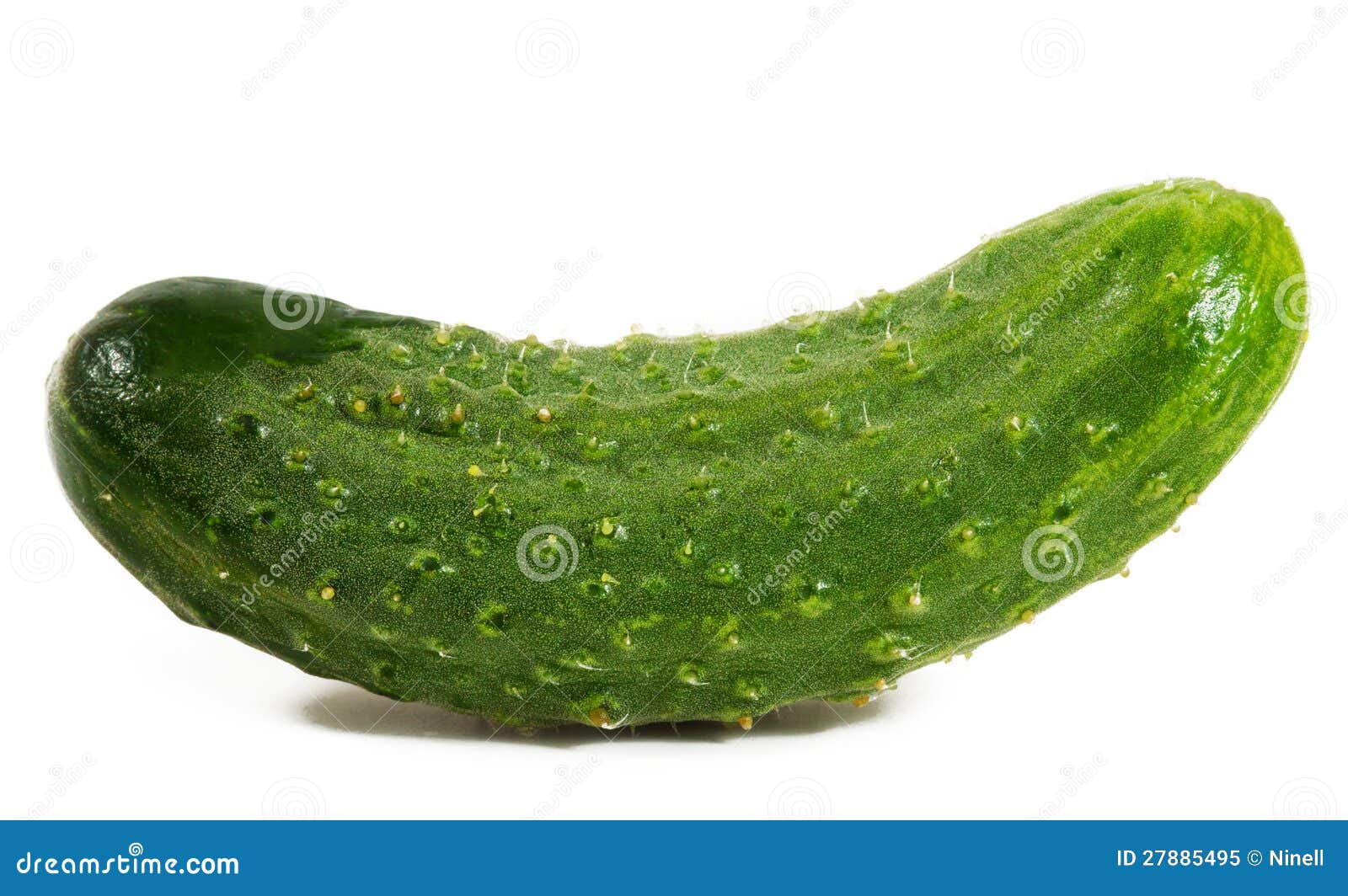 Cucumber stock image. Image of plant, bumps, ingredient - 27885495