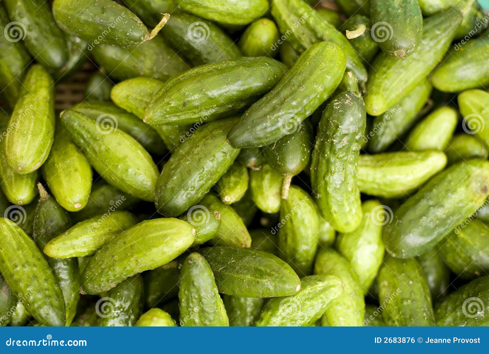 Cucumber Background stock photo. Image of cucumber, diet - 2683876