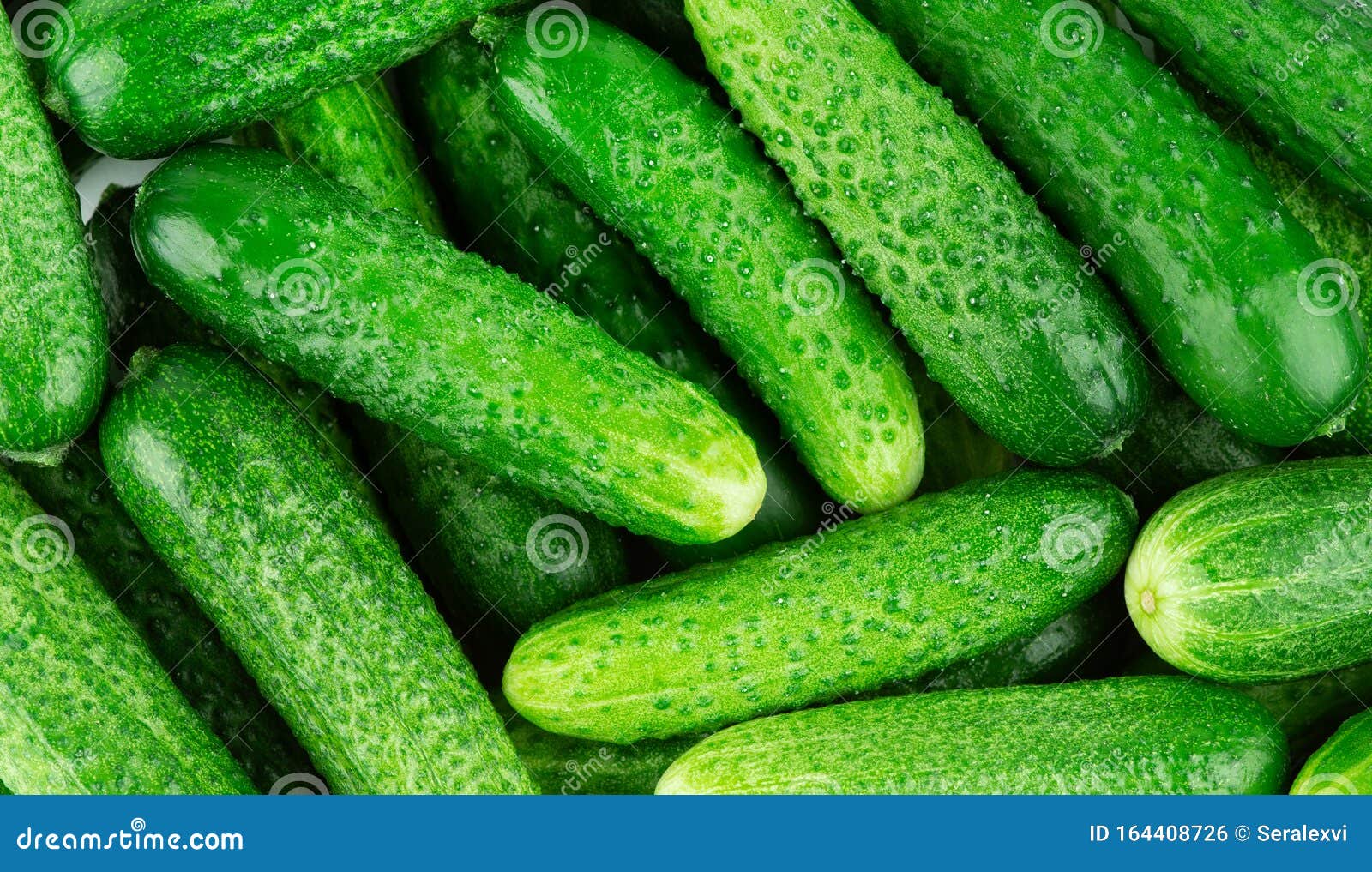Cucumber Background Seamless Texture Royalty-Free Stock Photography ...