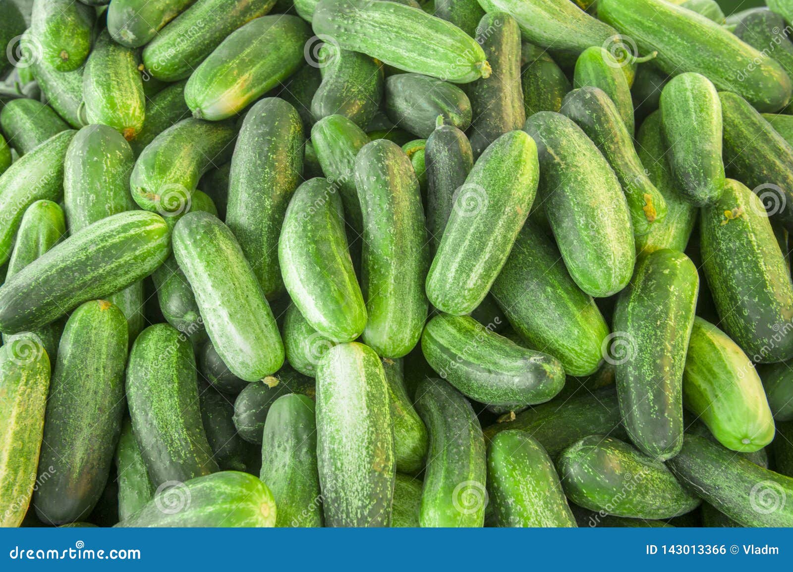 Cucumber Background Seamless Texture Royalty-Free Stock Photography ...