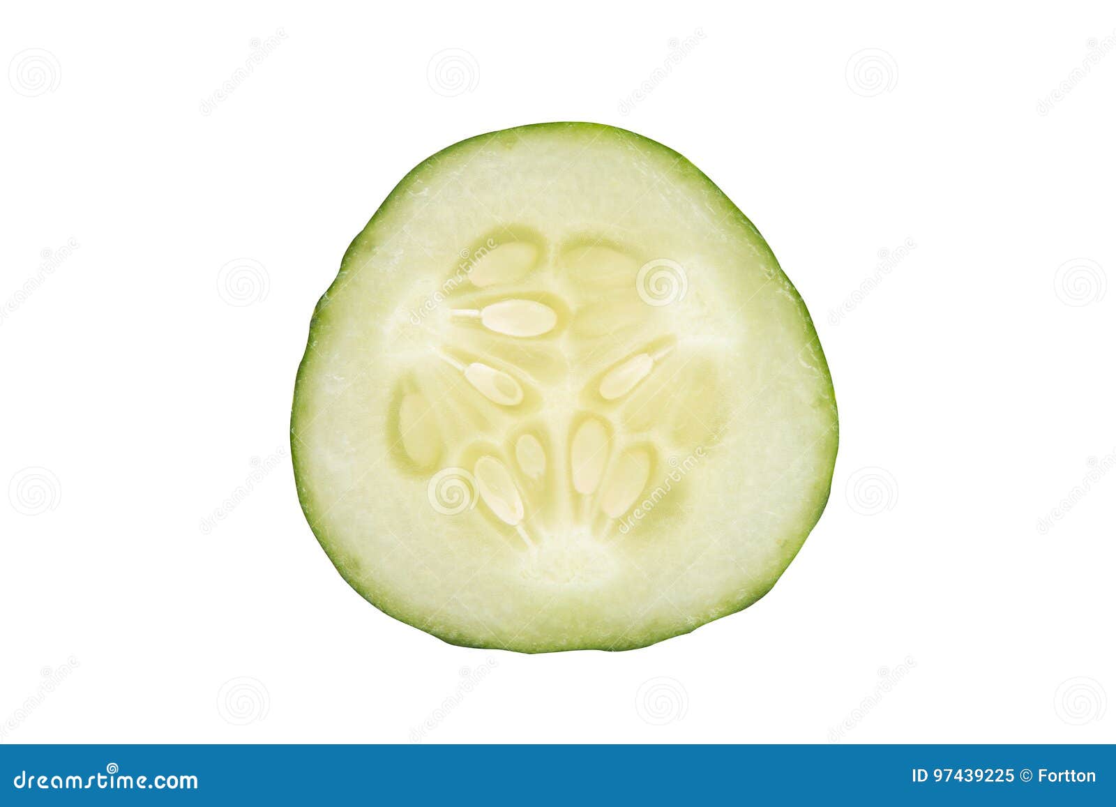 Cucumber in Cross Section. Fresh Cucumber Stock Image - Image of sliced ...