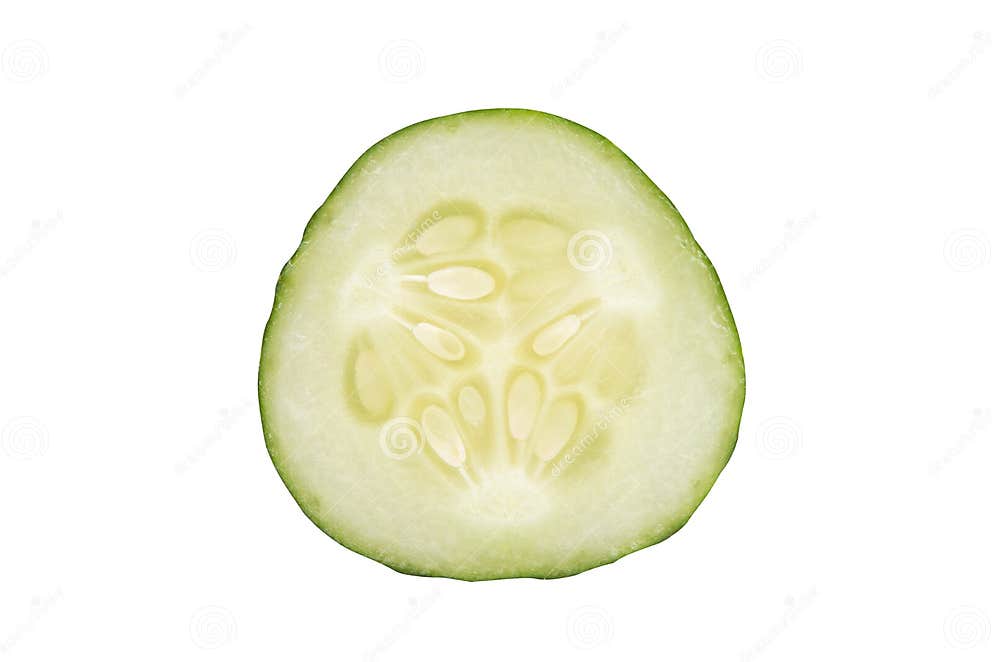 Cucumber in Cross Section. Fresh Cucumber Stock Image - Image of sliced ...