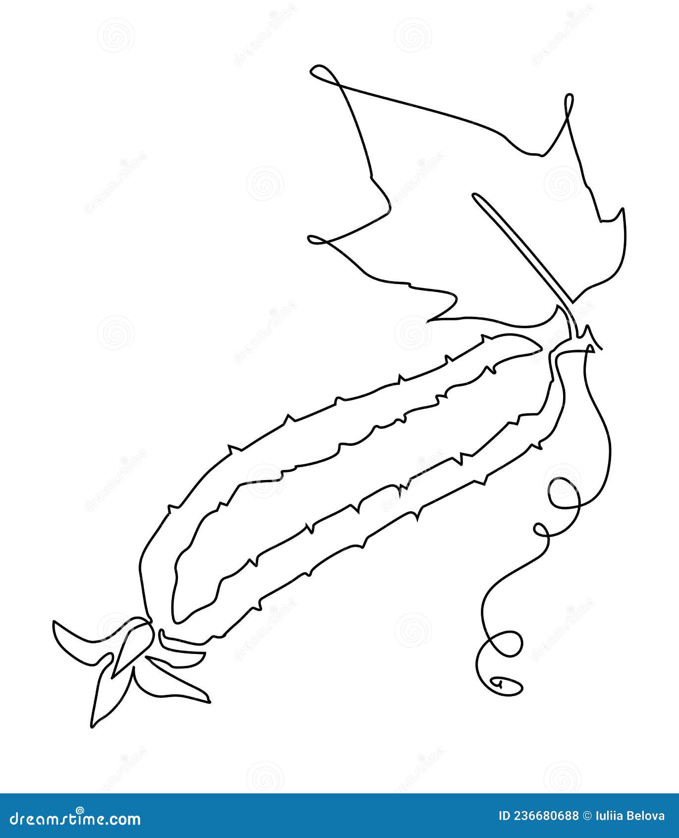 Cucumber with Flower and Leaf. Continuous Line Drawing Stock Vector ...