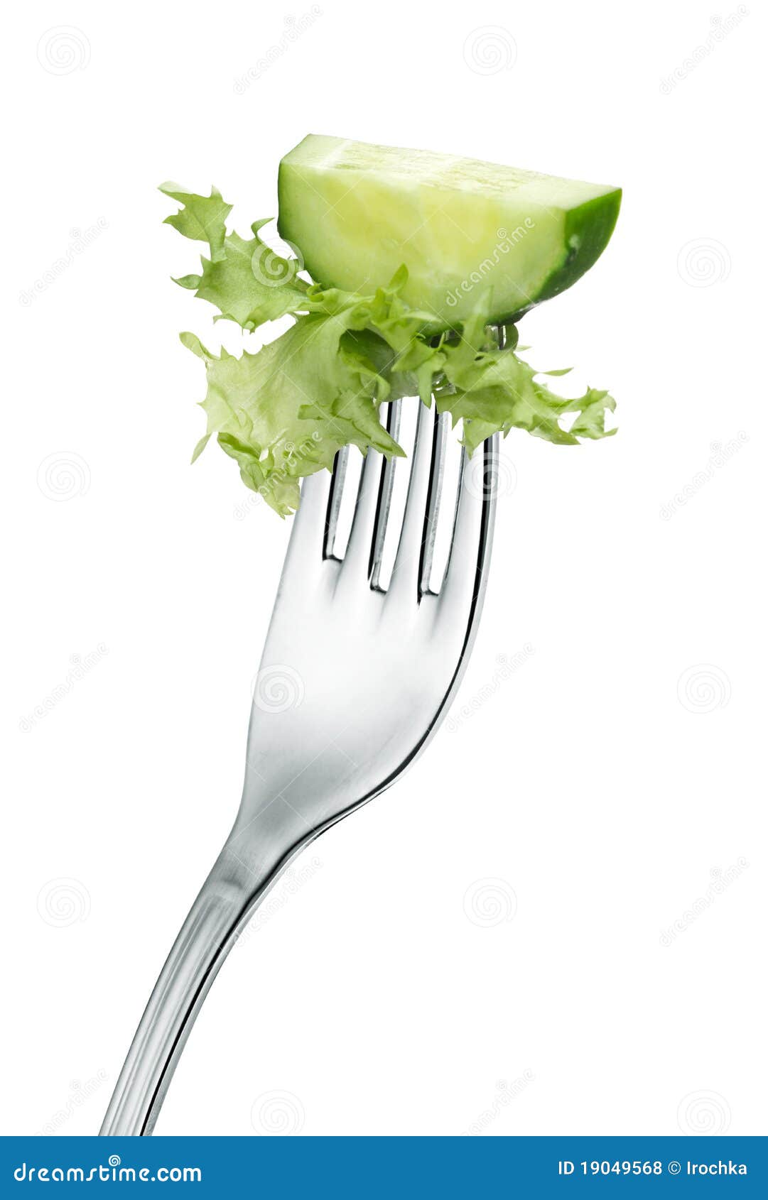 Cucumber on fork stock photo. Image of eating, nature - 19049568