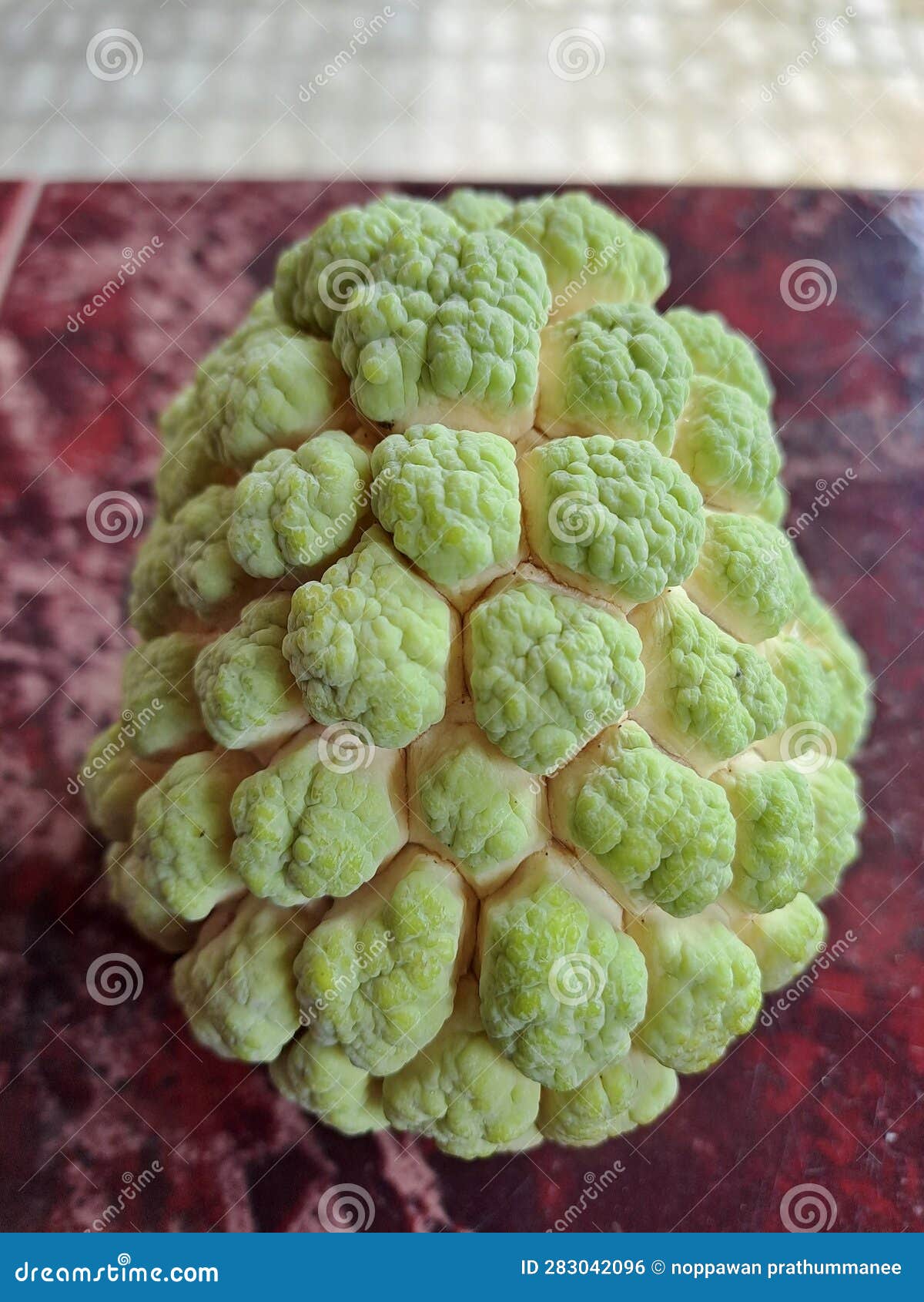 Cucumber, Fruit Tastes Very Delicious. Stock Photo - Image of delicious ...