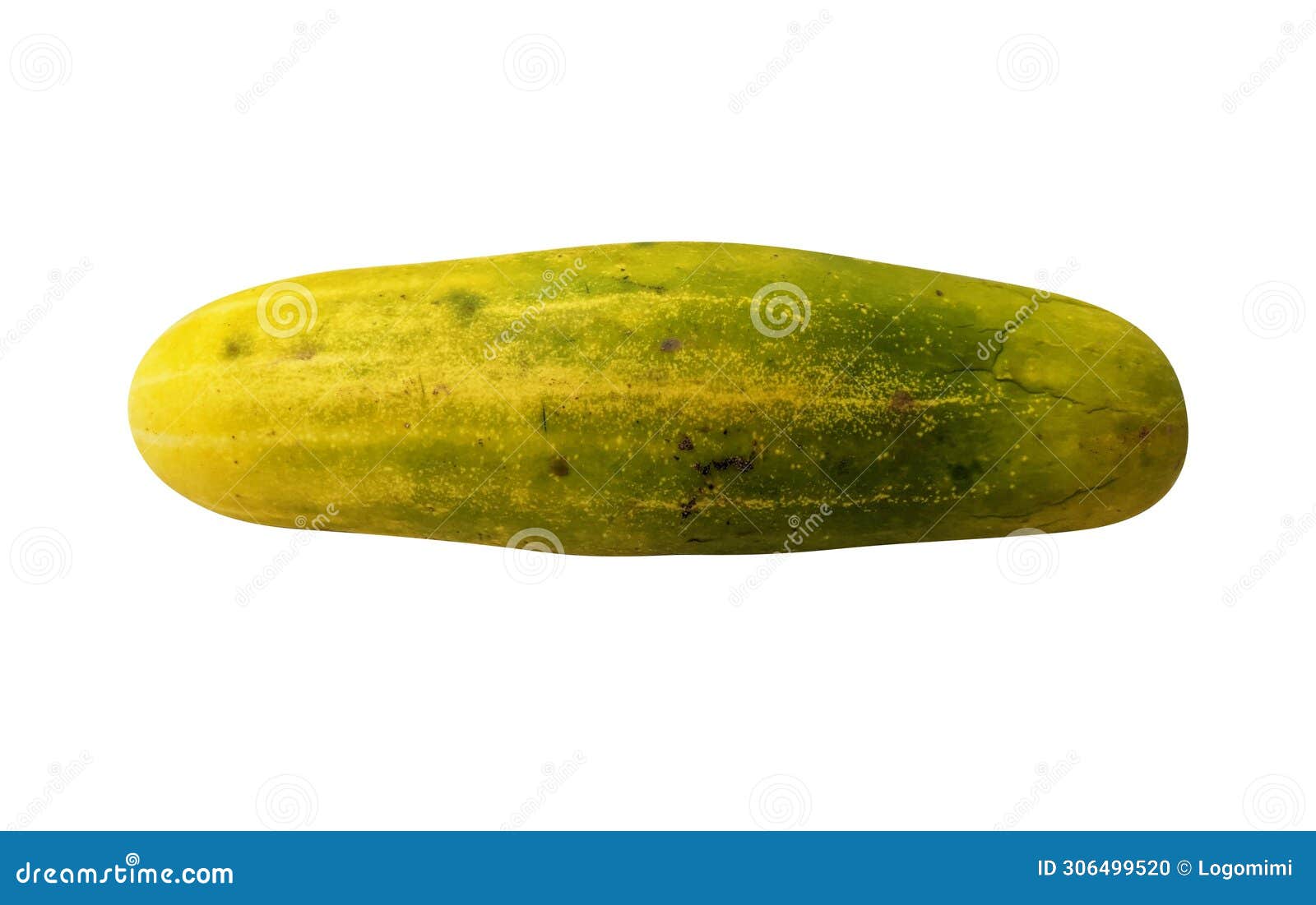 Cucumber Fruit Or Vegetable Timun Or Ketimun Mentimun Isolated On
