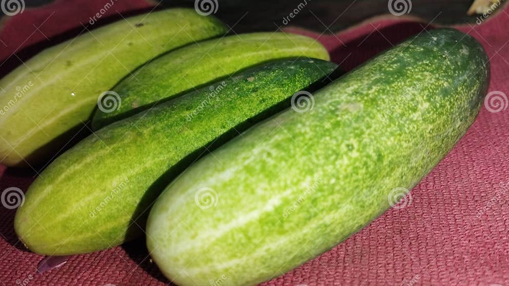 Cucumber Fruit or Vegetables Covered with Red Cloth Stock Photo - Image ...