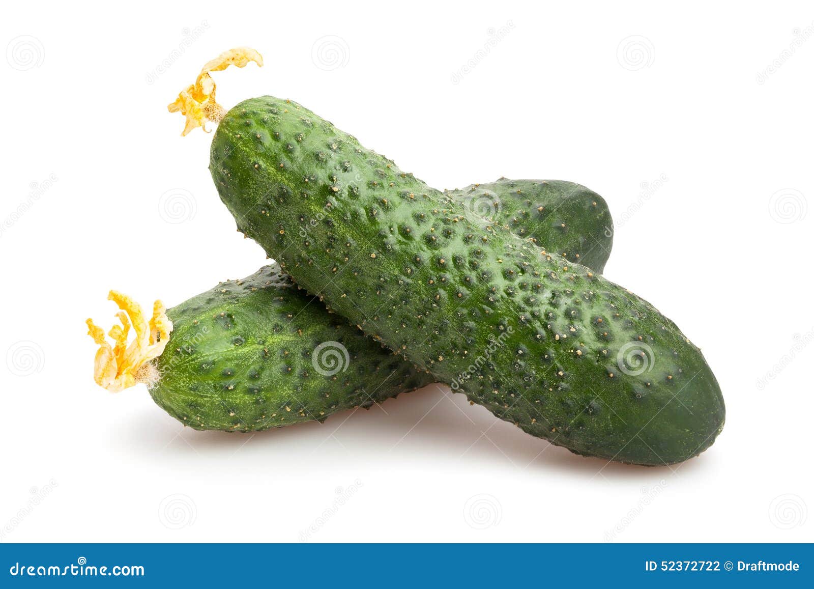 Cucumber stock photo. Image of group, blossom, white - 52372722