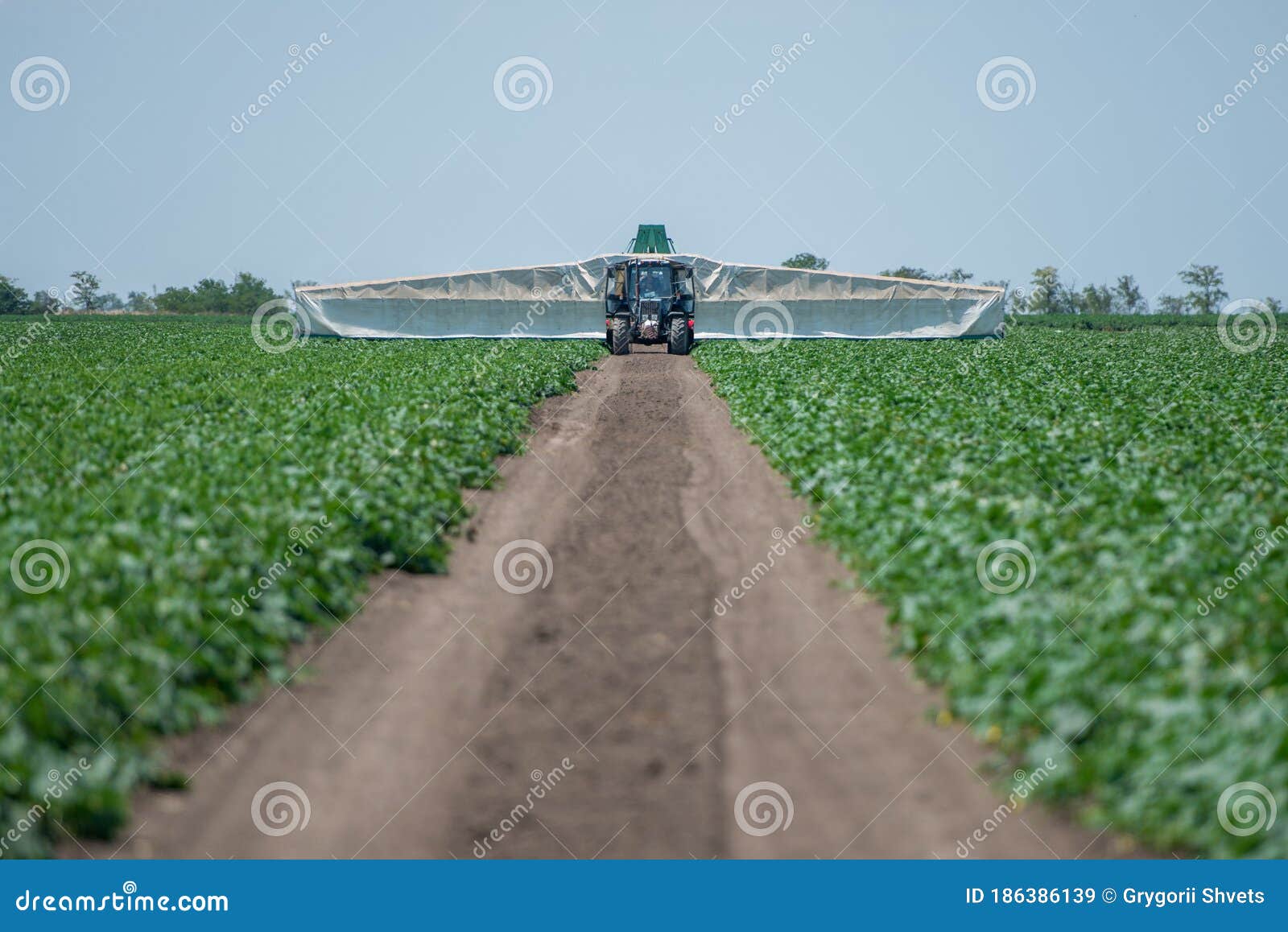 Cucumber Harvesting Machine on the Field Stock Image - Image of ...
