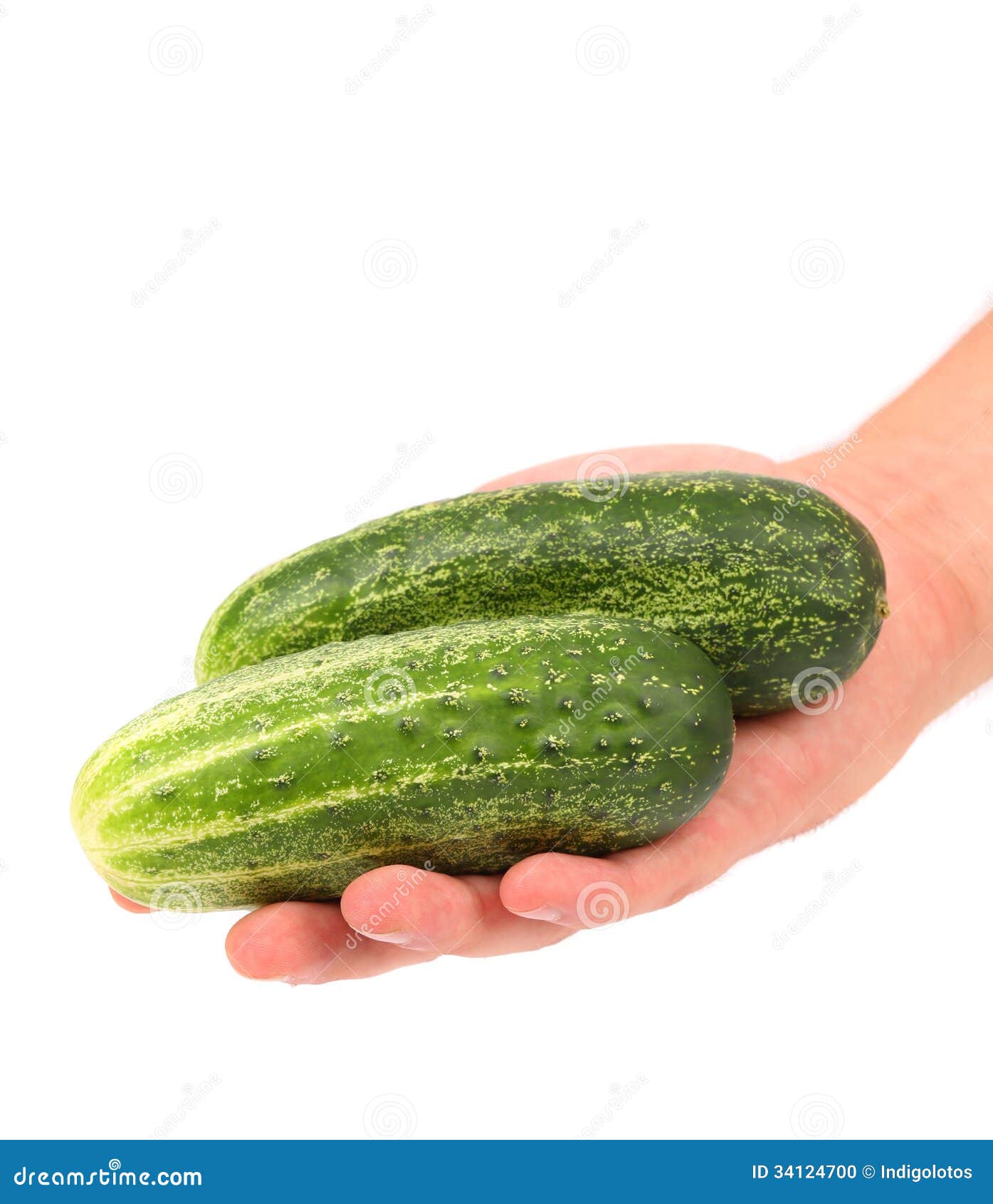 Cucumber in human hand stock photo. Image of ingredient - 34124700