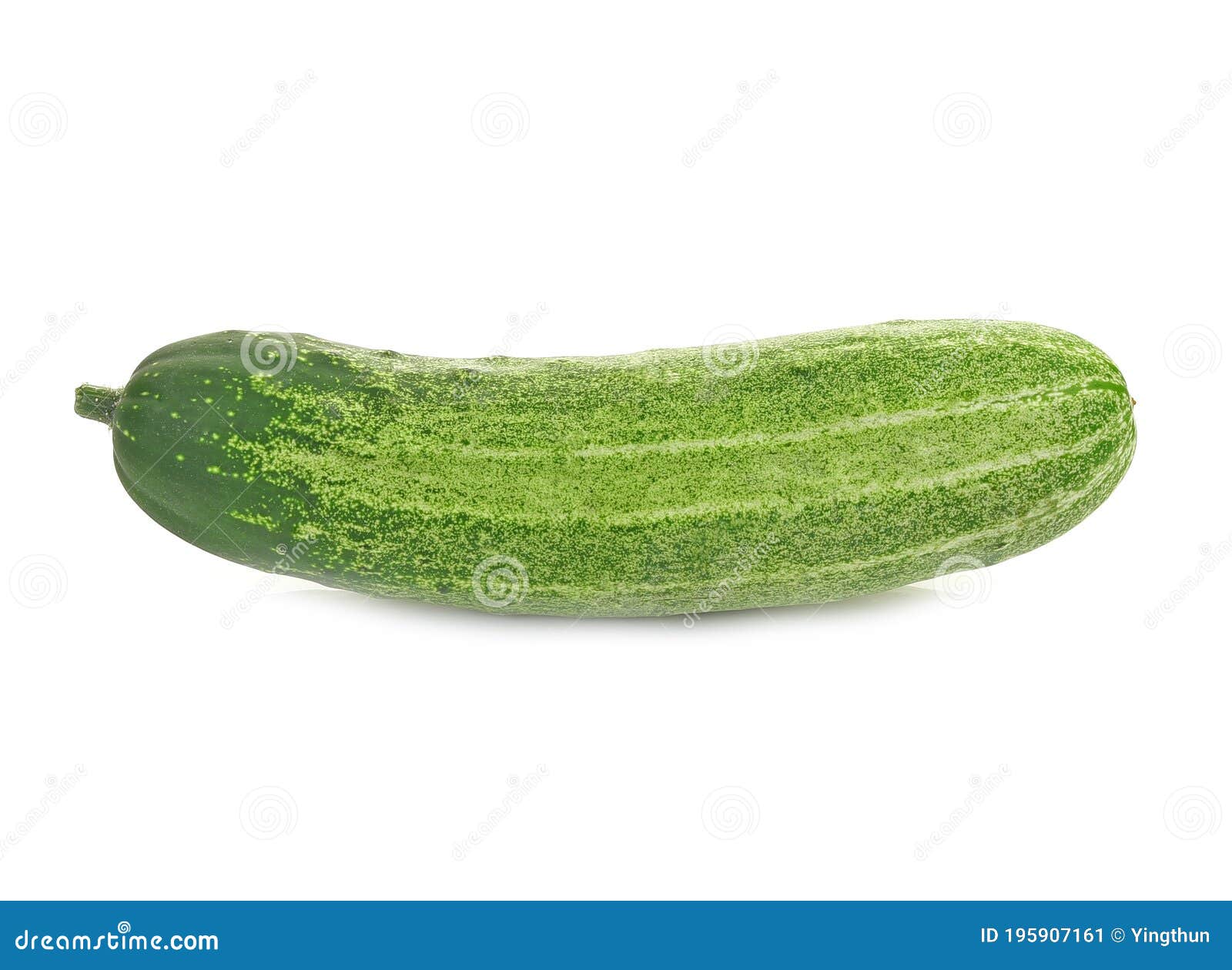 Cucumber Isolated Green Striped White Background Stock Image - Image of ...