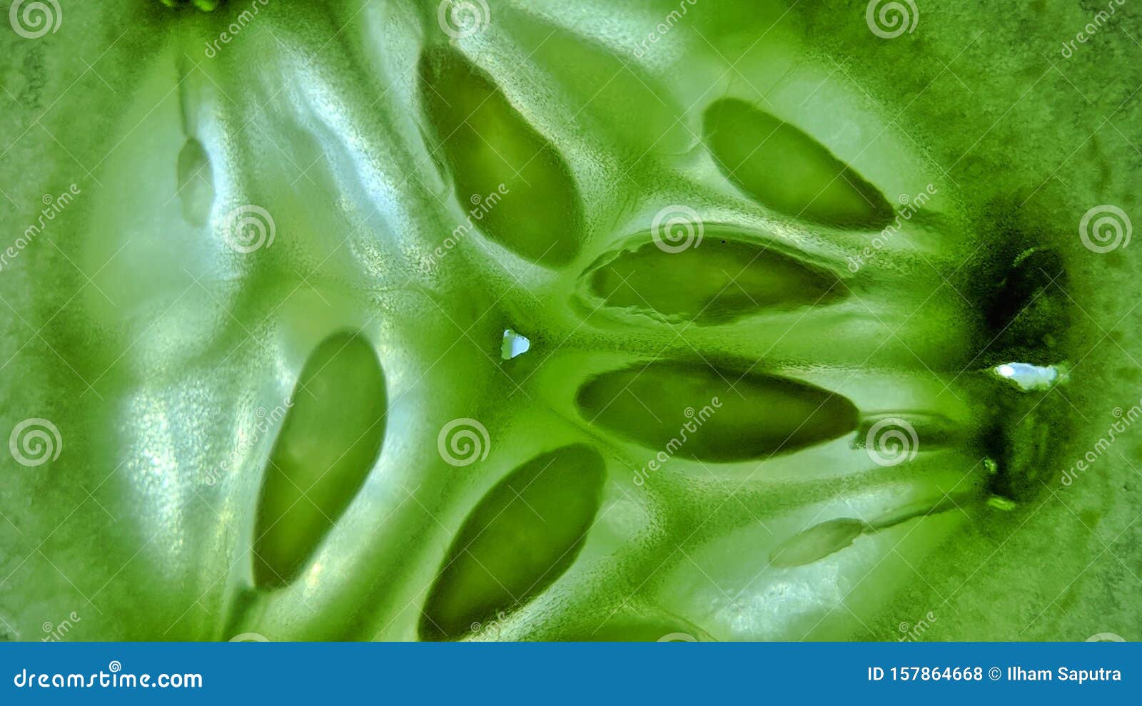 Cucumber Macro Texture Background and Wallpaper Stock Photo - Image of ...