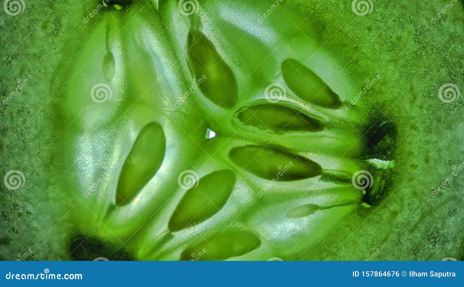 Cucumber Macro Texture Background and Wallpaper Stock Photo - Image of ...