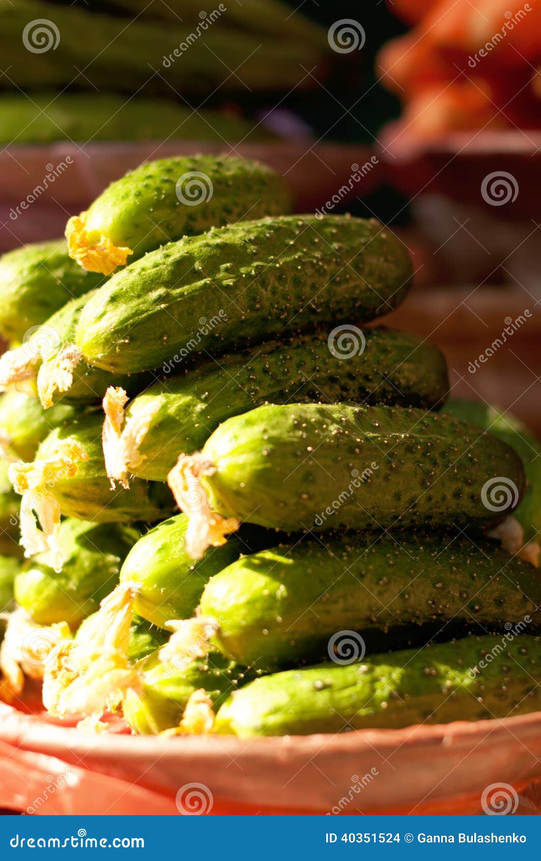 Cucumber at the market stock photo. Image of green, healthy - 40351524