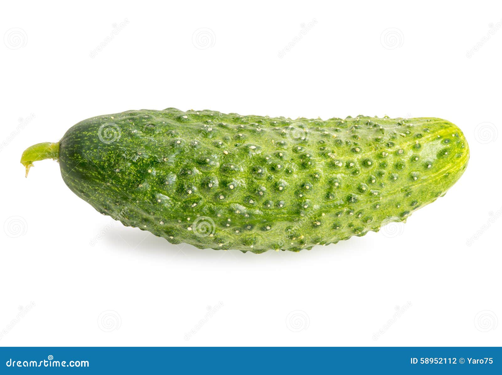 Cucumber stock photo. Image of green, path, ripe, refreshment - 58952112