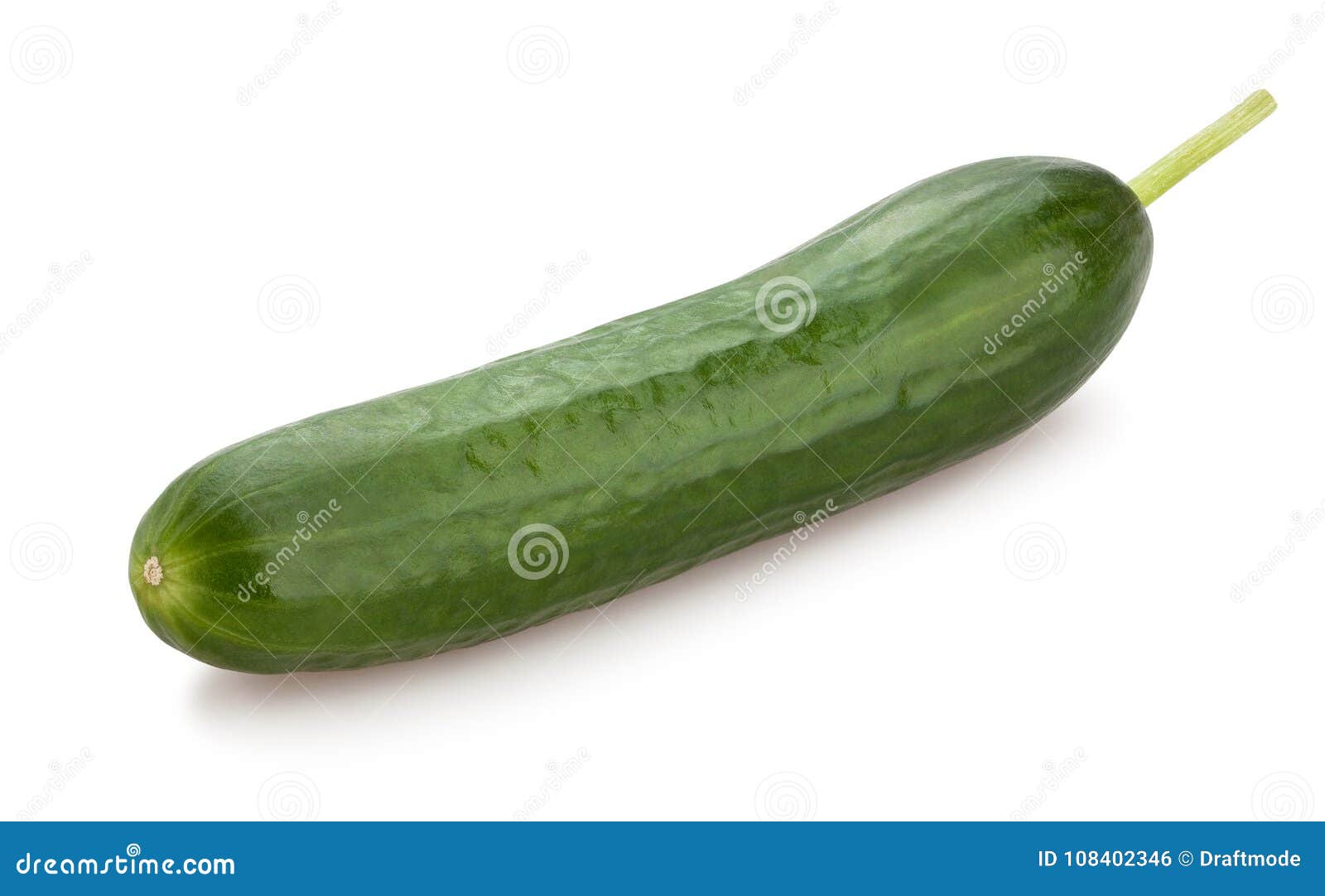 Cucumber stock photo. Image of closeup, vegetarian, fresh - 108402346