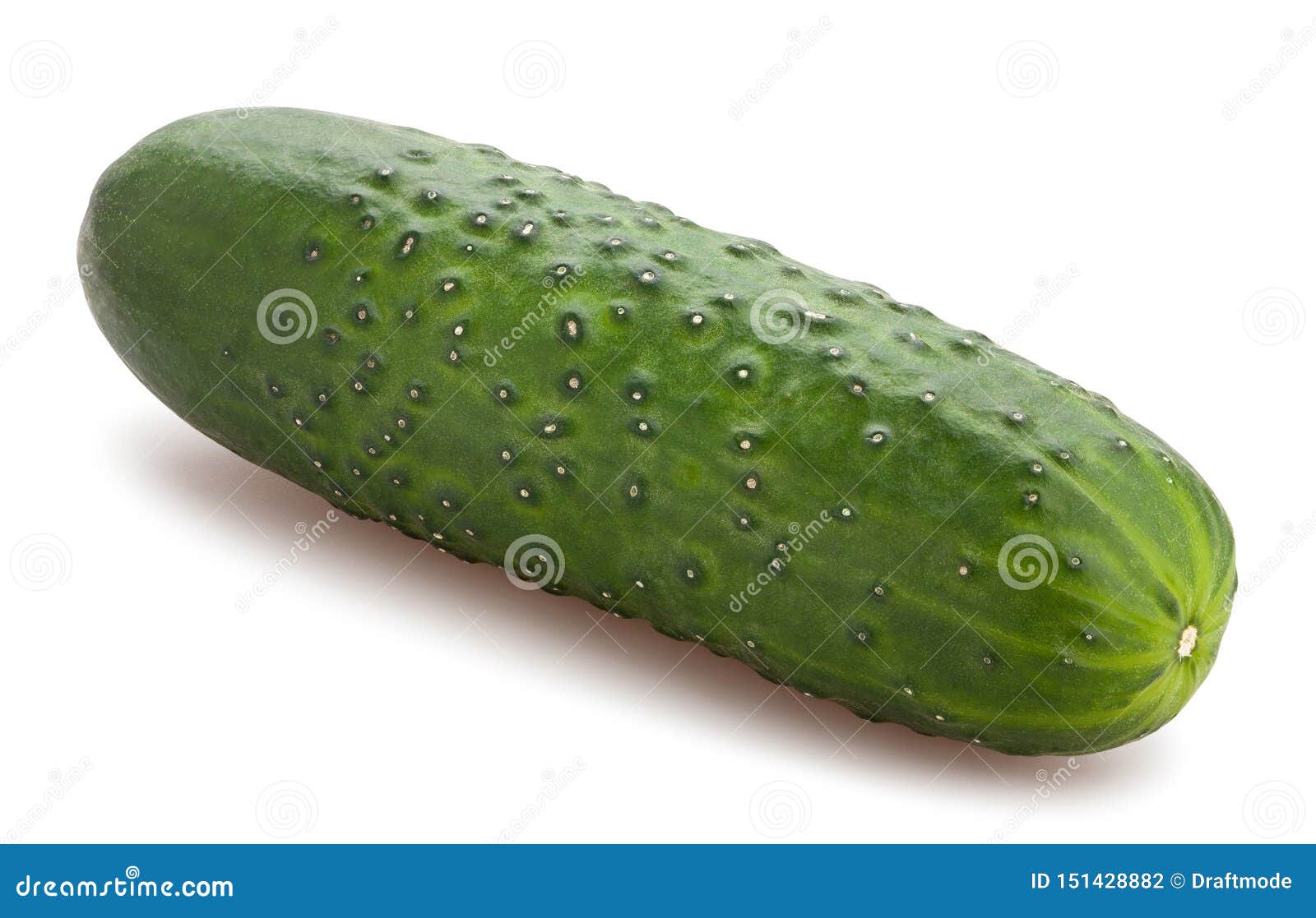 Cucumber stock photo. Image of tasty, side, nutrient - 151428882