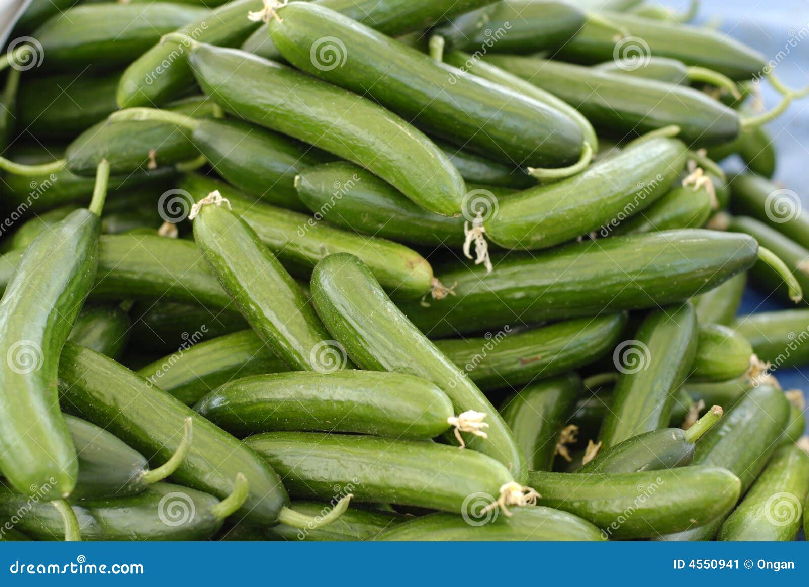 Cucumber pattern stock image. Image of cucumber, natural - 4550941
