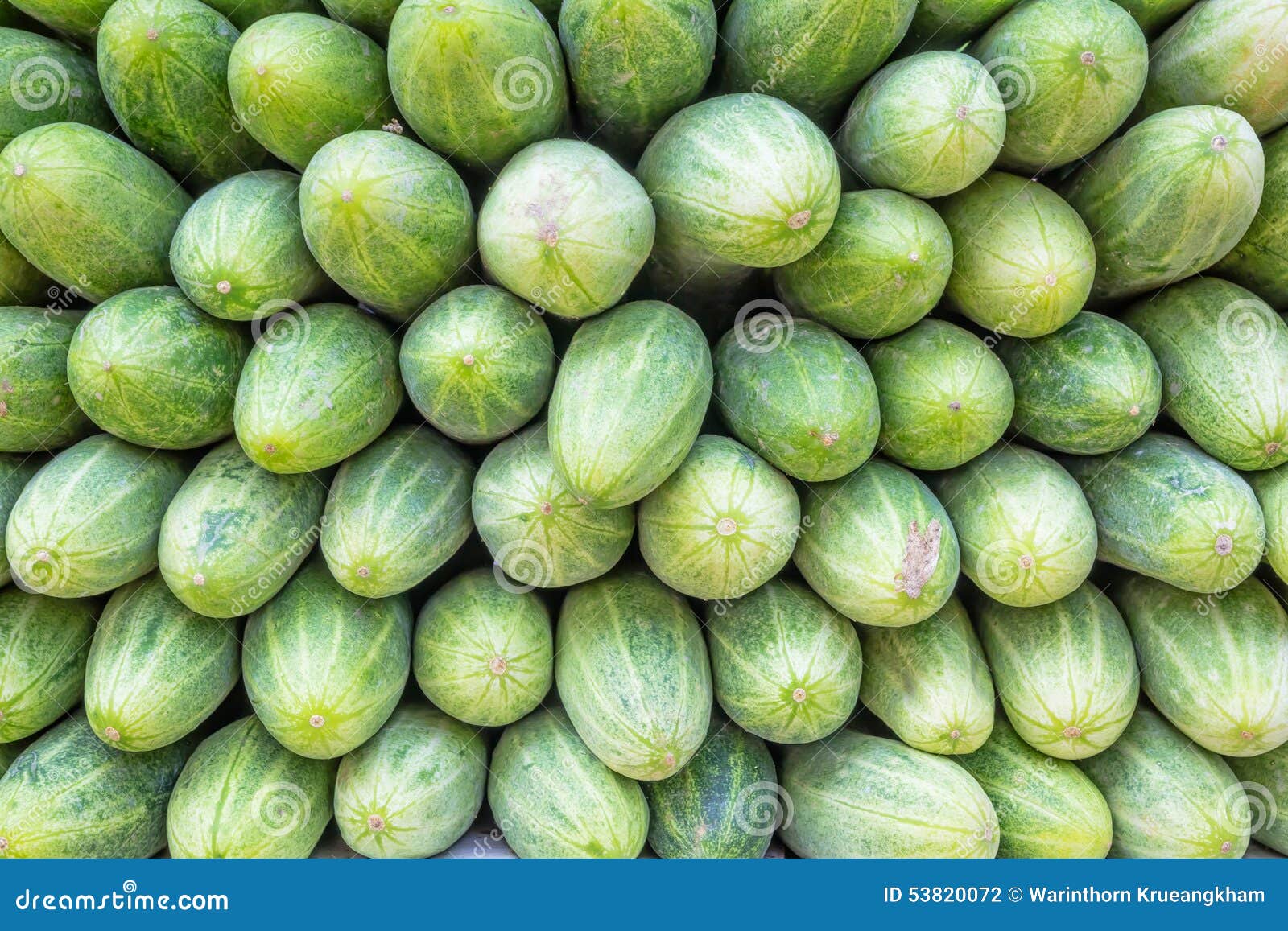 Cucumber pattern stock photo. Image of freshness, green - 53820072