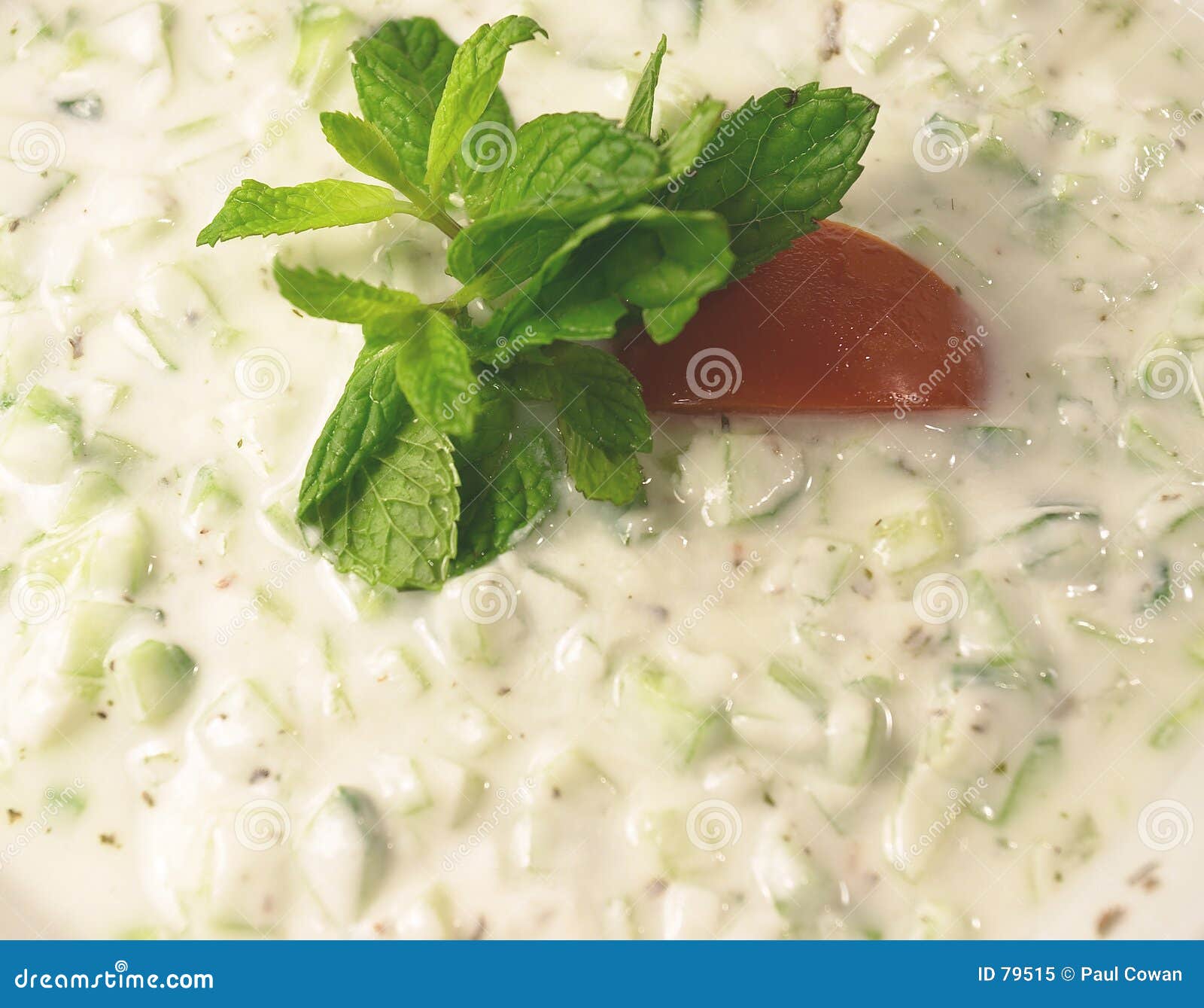 Cucumber raita 1 stock image. Image of yogurt, cooking, cucumber - 79515