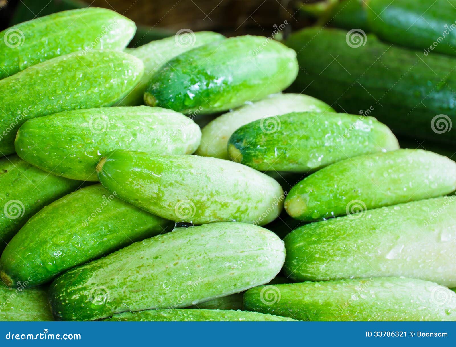 Cucumber stock image. Image of market, vegetable, organic - 33786321
