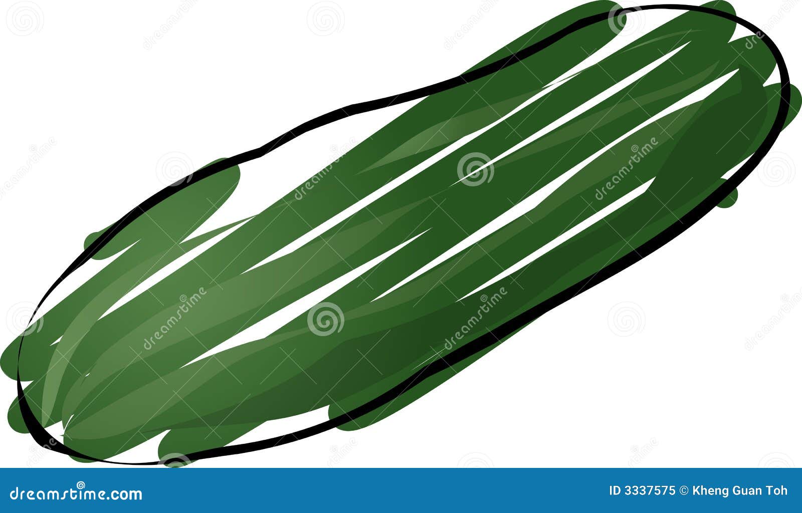 Cucumber sketch stock illustration. Illustration of ingredients - 3337575