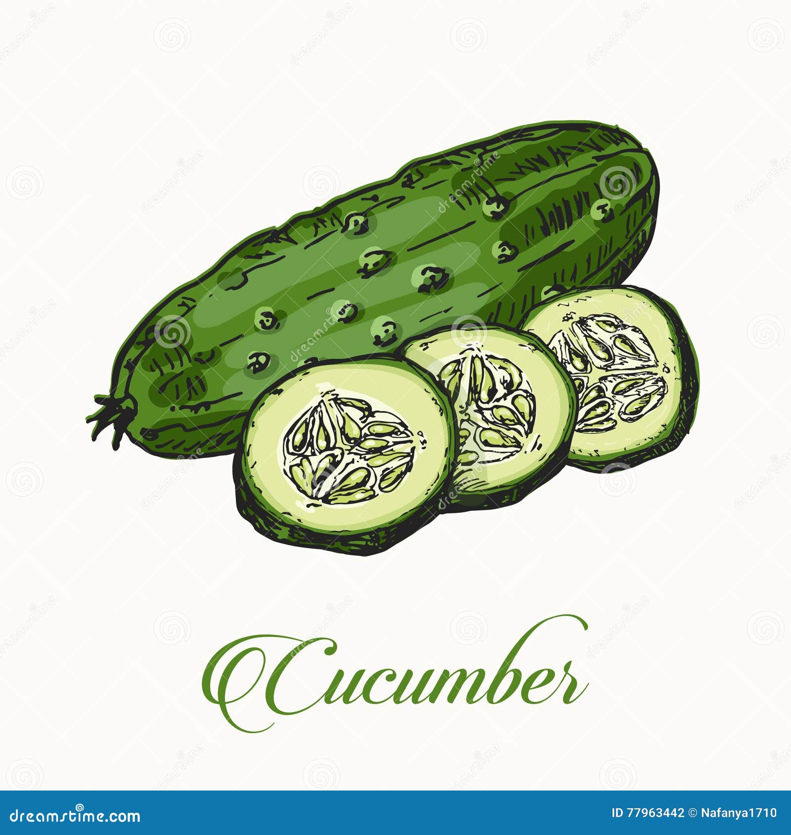 Cucumber in a Sketch Style. Series Vegetables Stock Vector ...