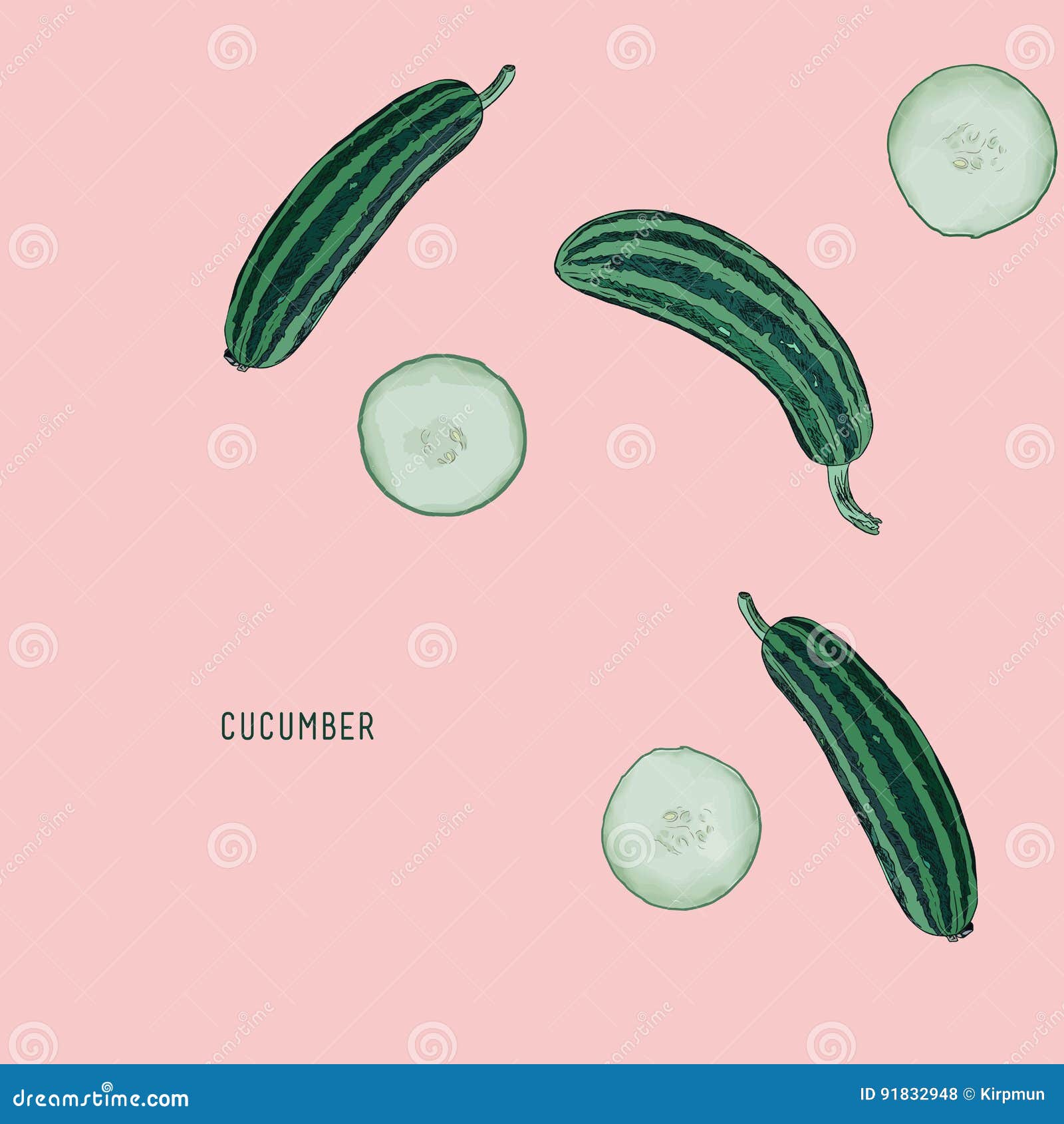 Cucumber , sketch vector. stock vector. Illustration of green - 91832948
