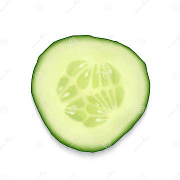 Cucumber slice stock vector. Illustration of organic - 54832175