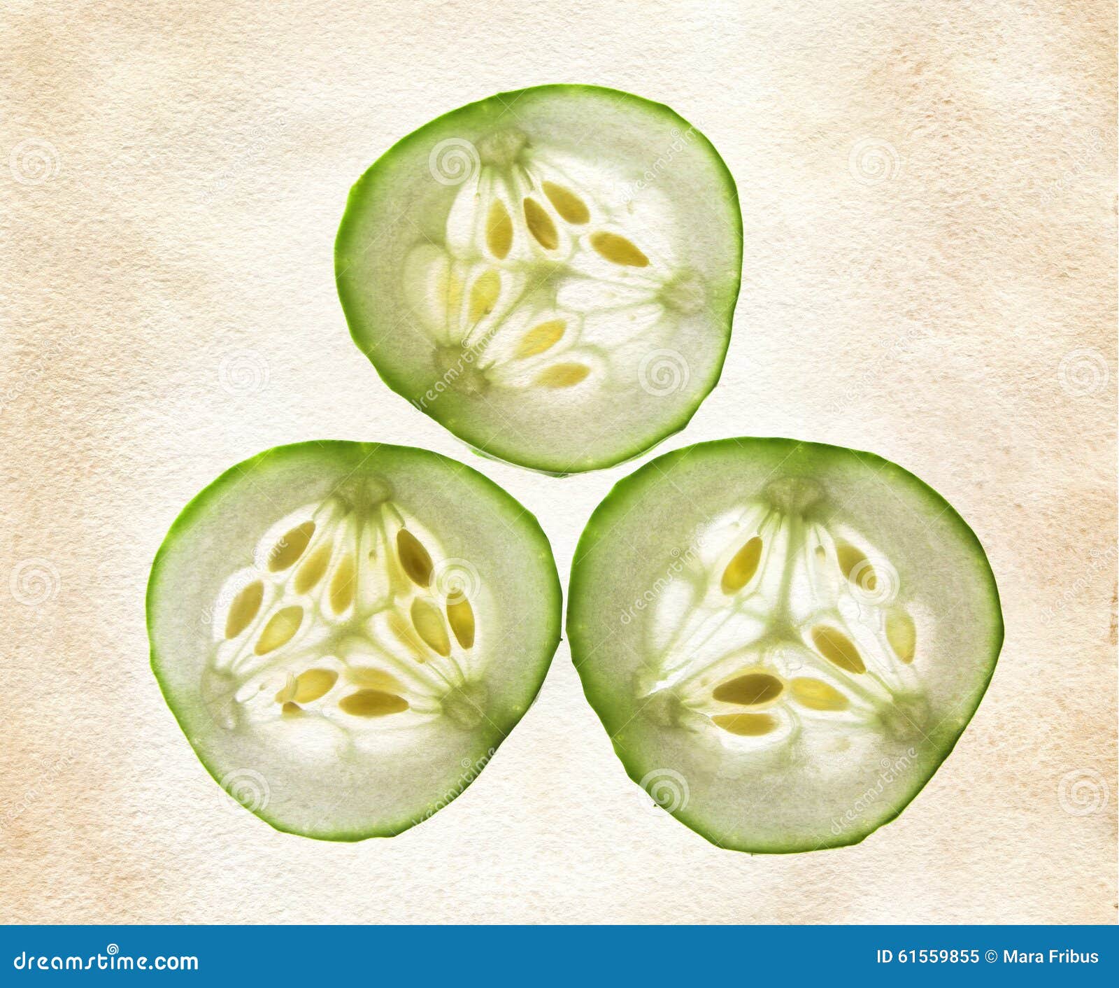 Cucumber slices on paper stock image. Image of dirty - 61559855