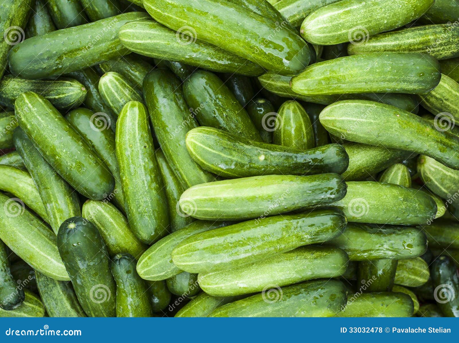 Cucumber stock photo. Image of stacked, snack, cucumber - 33032478