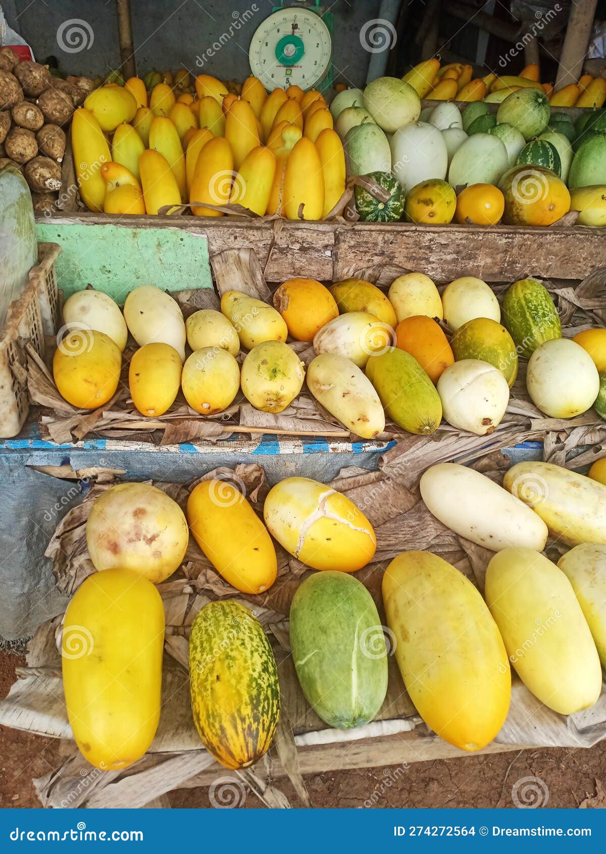 Cucumber Suri Complementary Food for Breaking the Fast Stock Photo ...