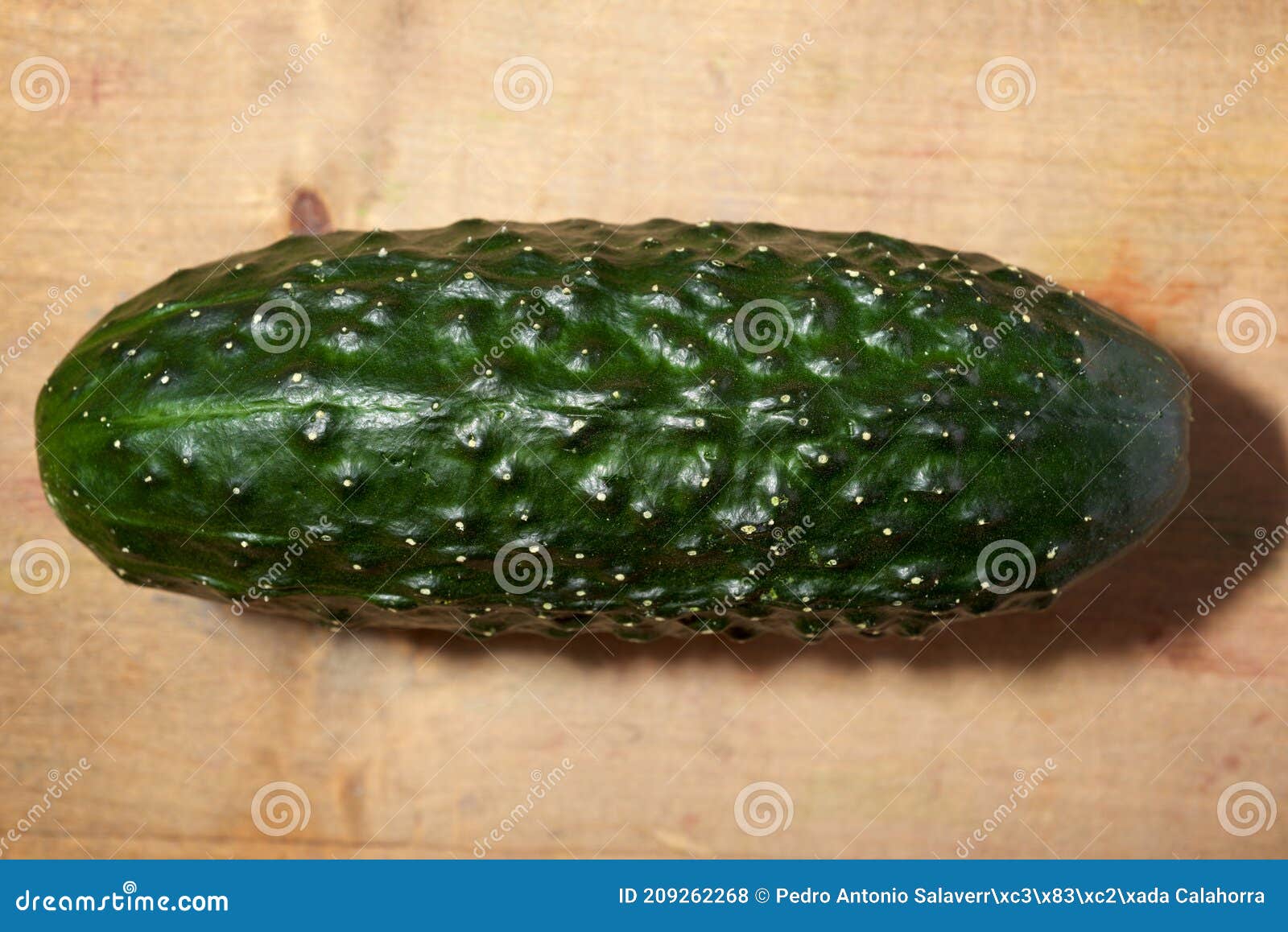Cucumber on a table stock photo. Image of healthy, closeup - 209262268