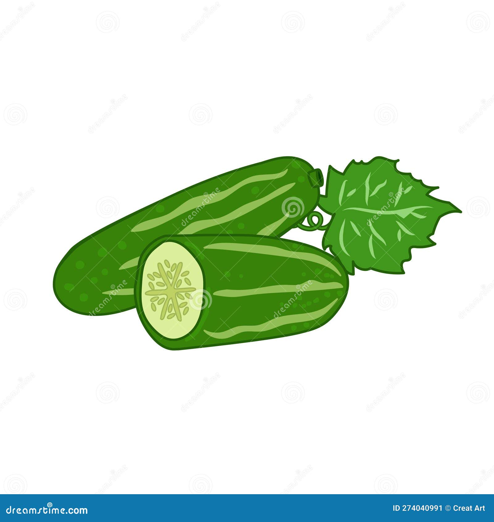 Cucumber Vector Illustration Set | CartoonDealer.com #221202778