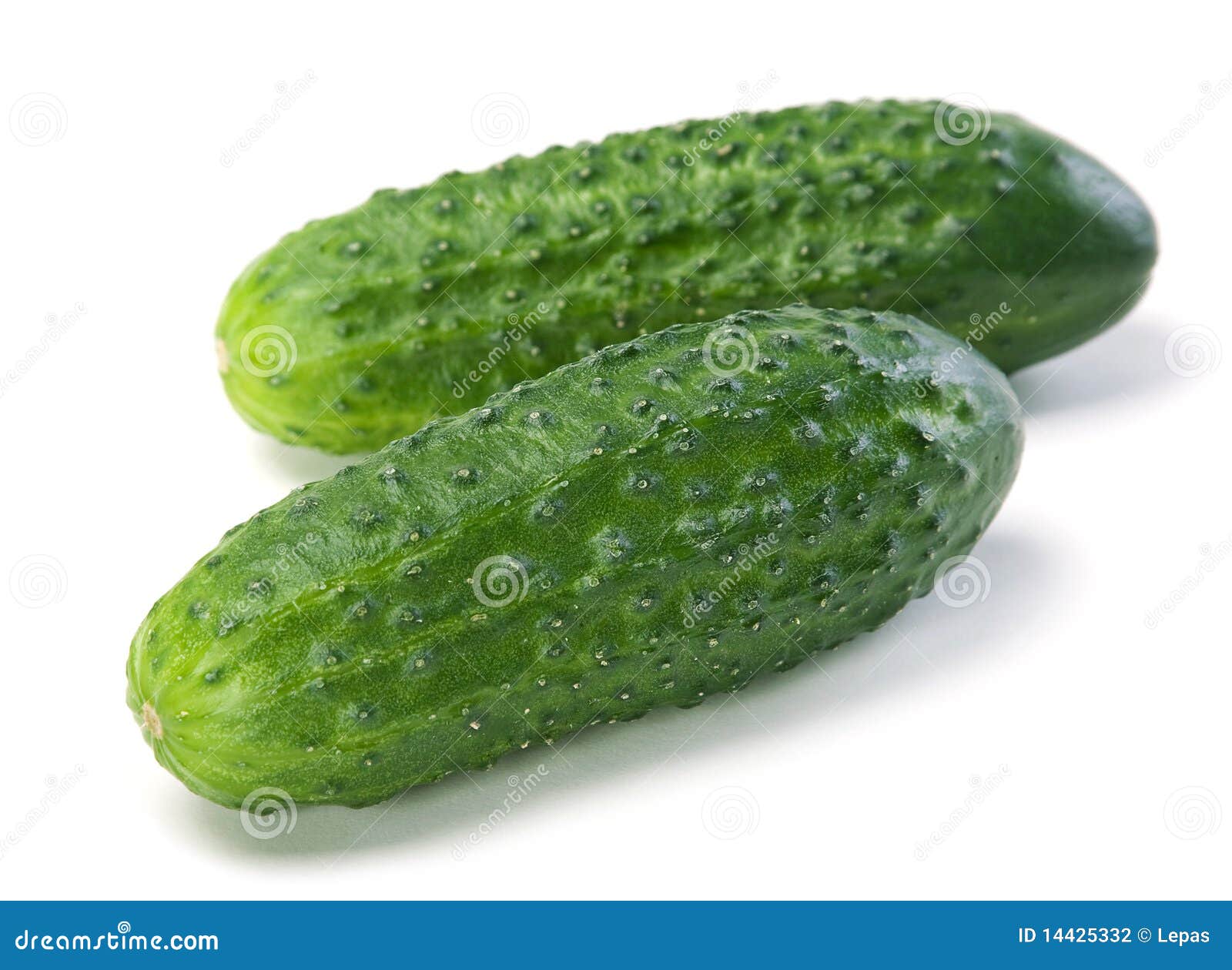 Cucumber vegetable stock photo. Image of vegetable, horizontal - 14425332
