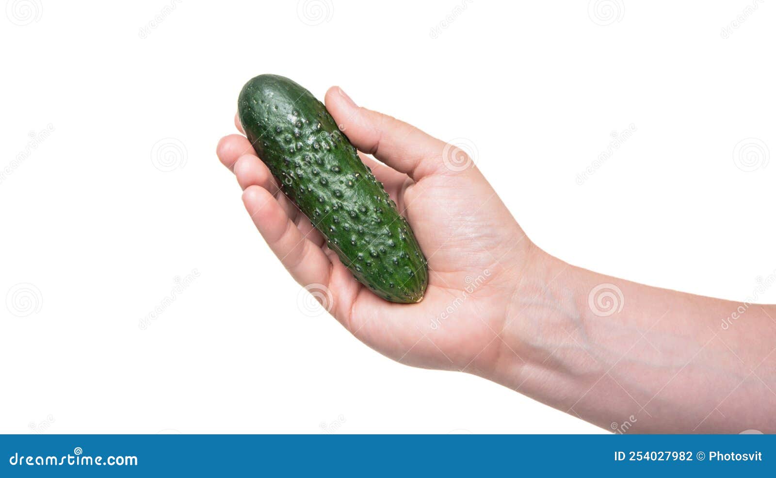 Cucumber Vegetable in Hand Isolated on White Background Stock Photo ...