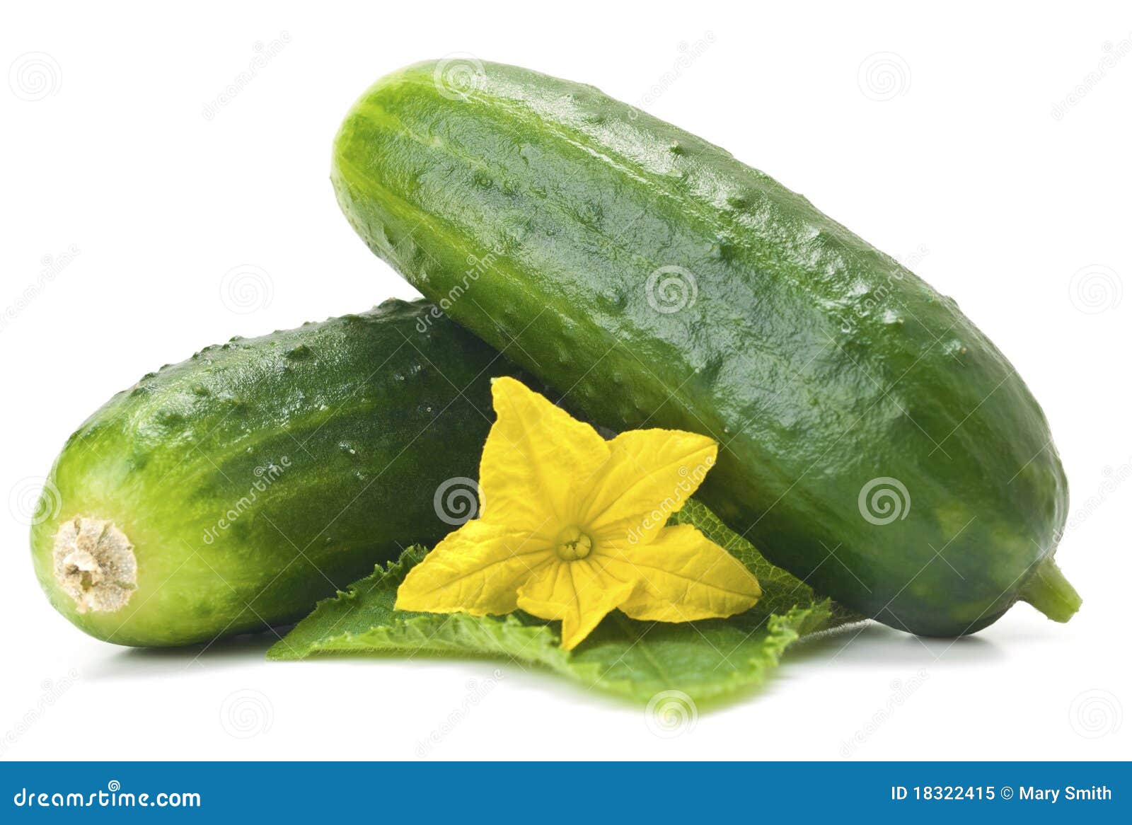 Cucumbers stock image. Image of cucumber, food, flower - 18322415