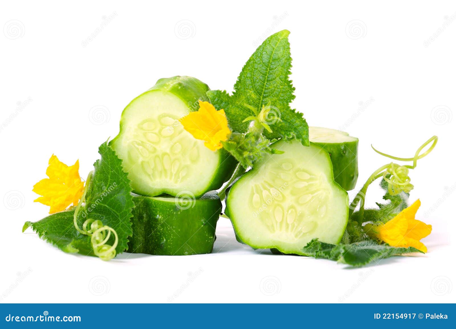 Cucumbers stock image. Image of fresh, organic, bloom - 22154917