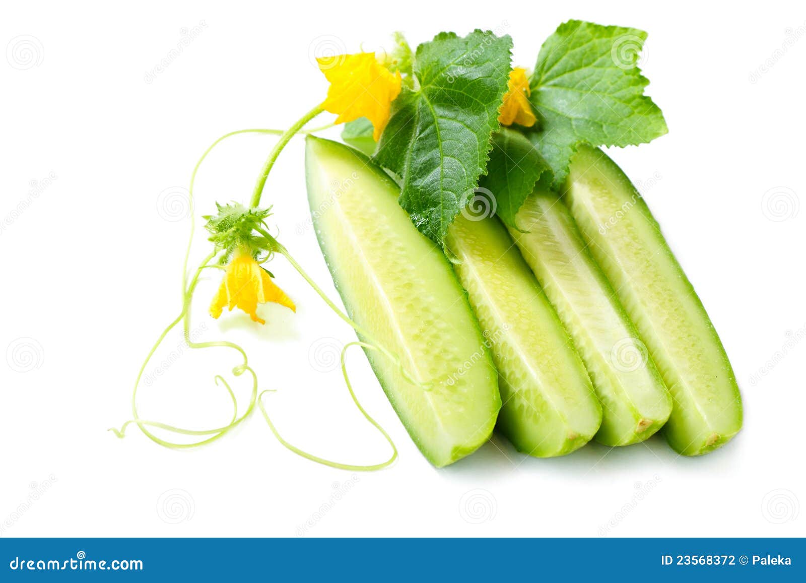 Cucumbers stock photo. Image of color, meal, cucumber - 23568372