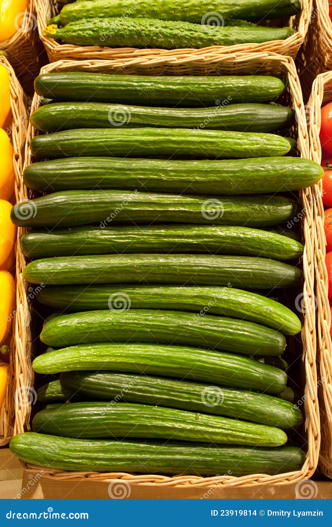 Cucumbers stock photo. Image of ingredients, farming - 23919814