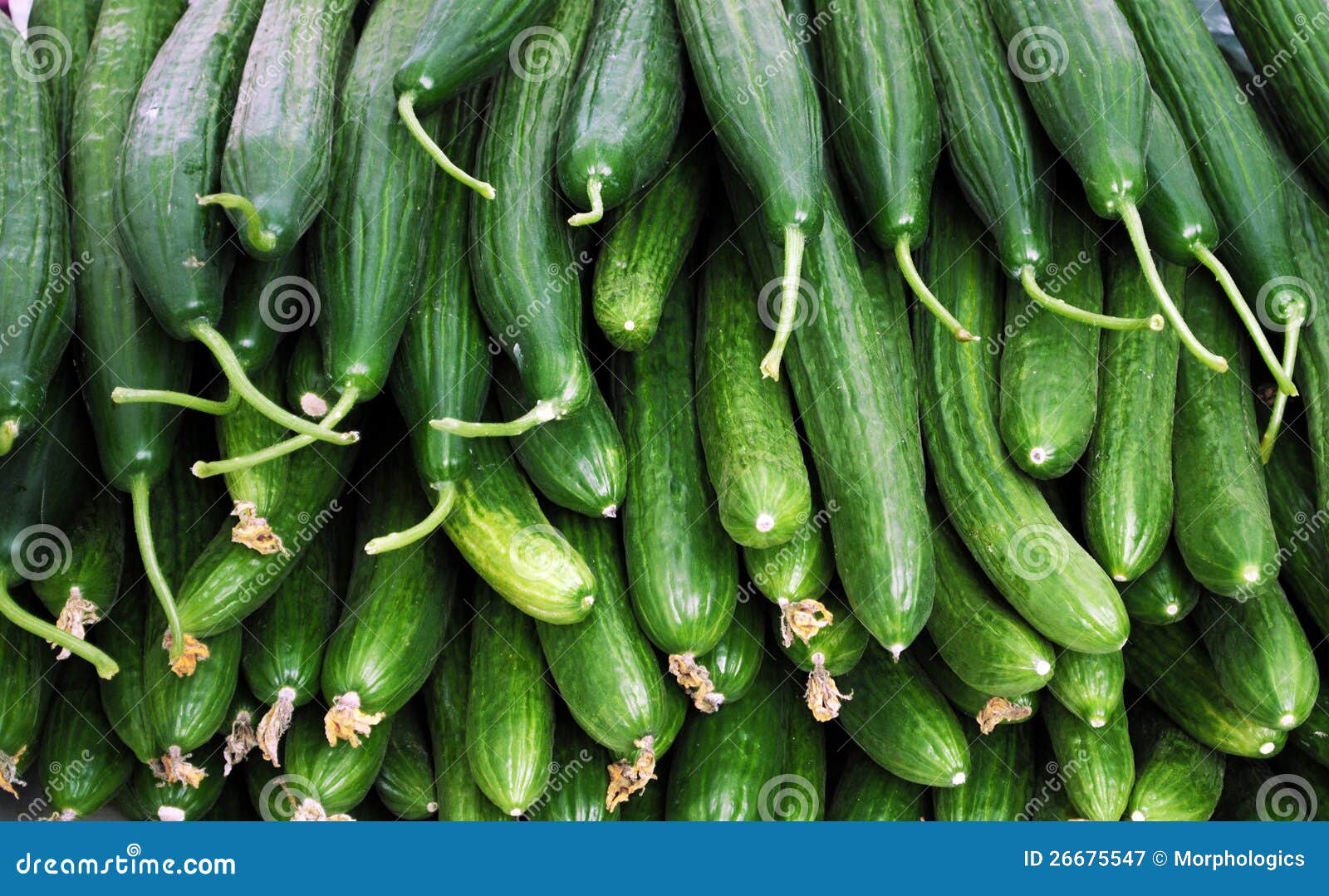 Cucumbers stock image. Image of cucumber, market, trade - 26675547