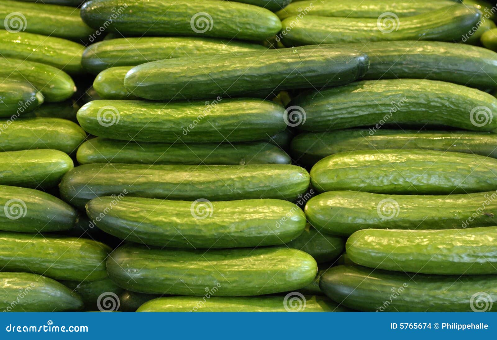 Cucumbers stock photo. Image of legume, food, freshness - 5765674
