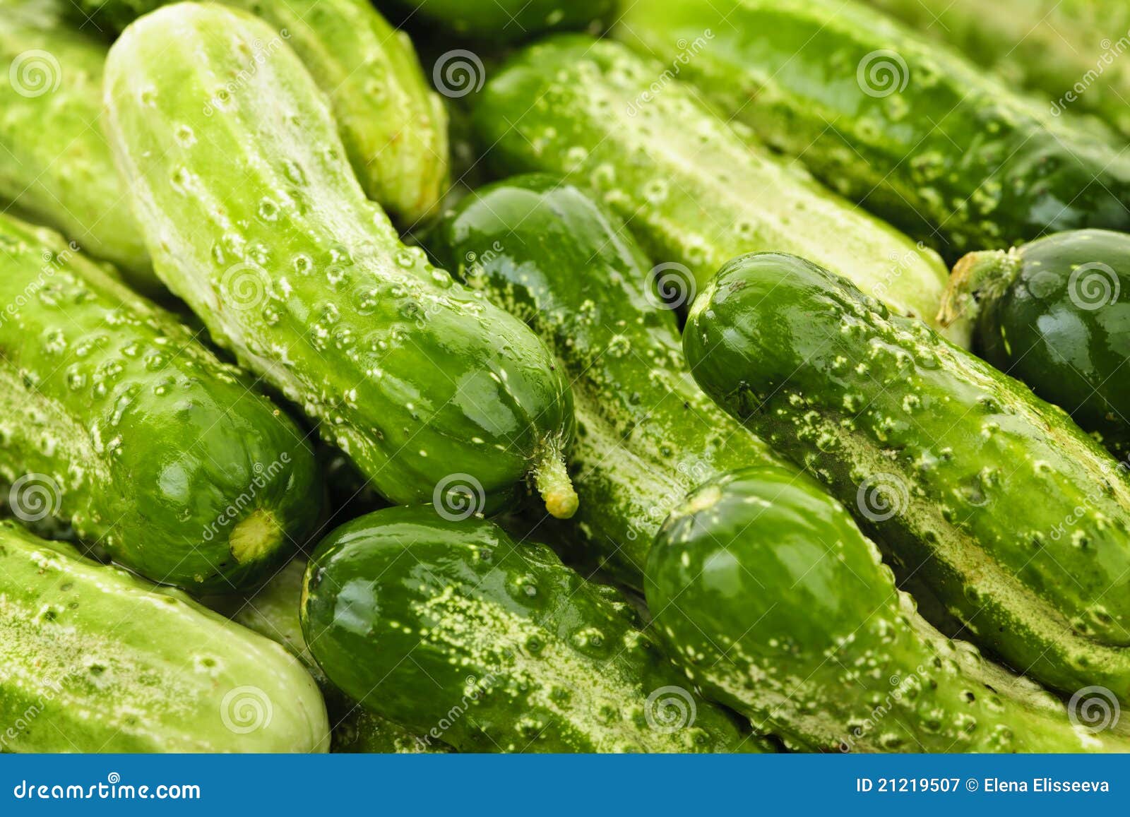 Cucumbers background stock image. Image of closeup, fruit - 21219507