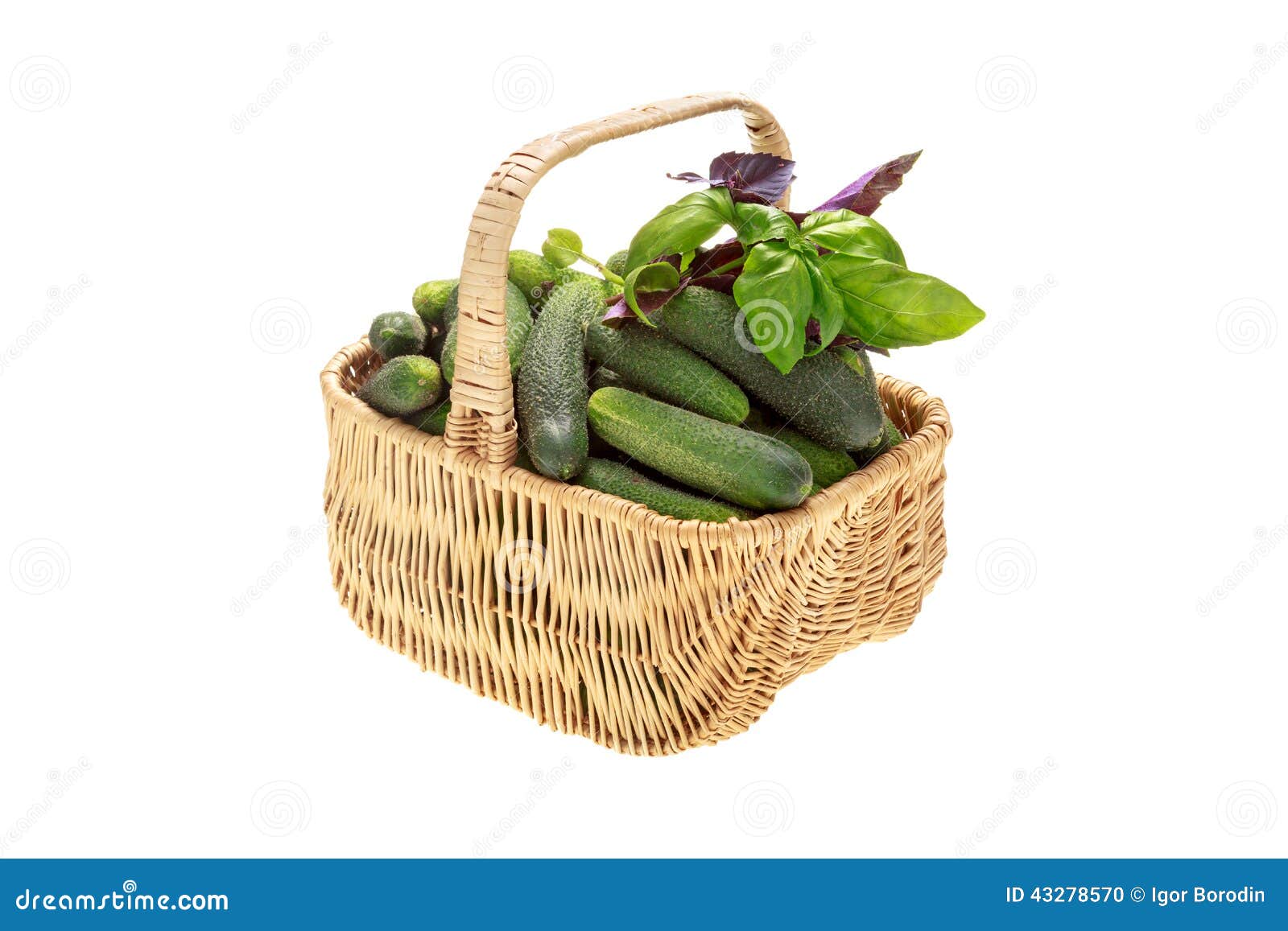 Cucumbers and Basil in Basket Isolated Stock Photo - Image of ...