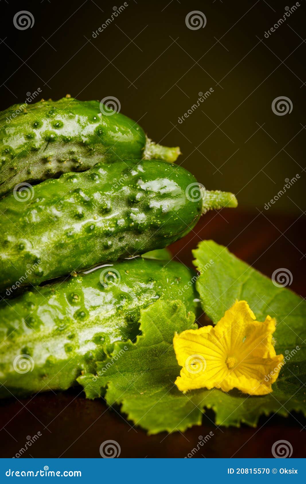 Cucumbers on black stock photo. Image of healthy, natural - 20815570